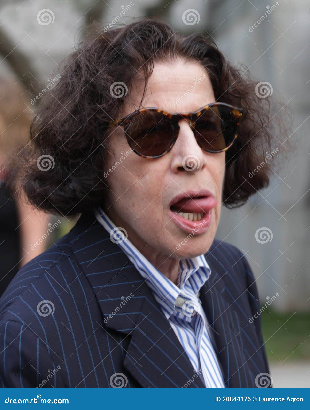 Fran Lebowitz, Tongue-in Cheek Editorial Photo - Image of fair ...