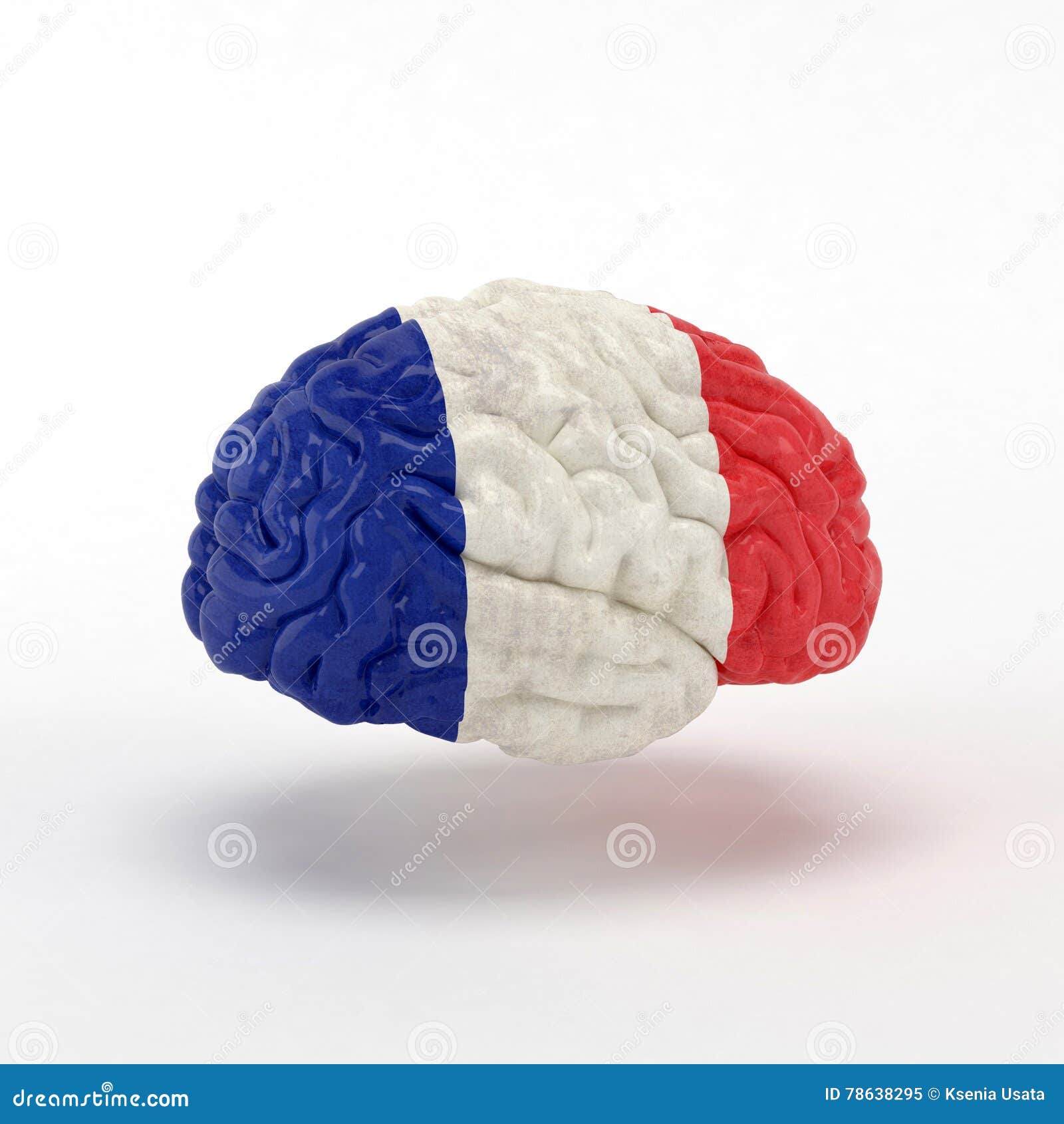 France Flag on Human Brain. Stock Illustration - Illustration of head ...