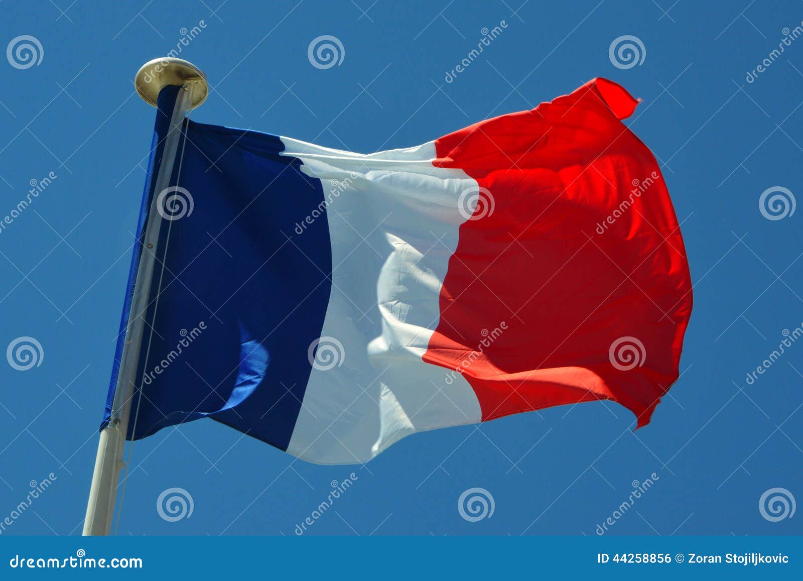 A France flag stock photo. Image of symbol, france, flies - 44258856
