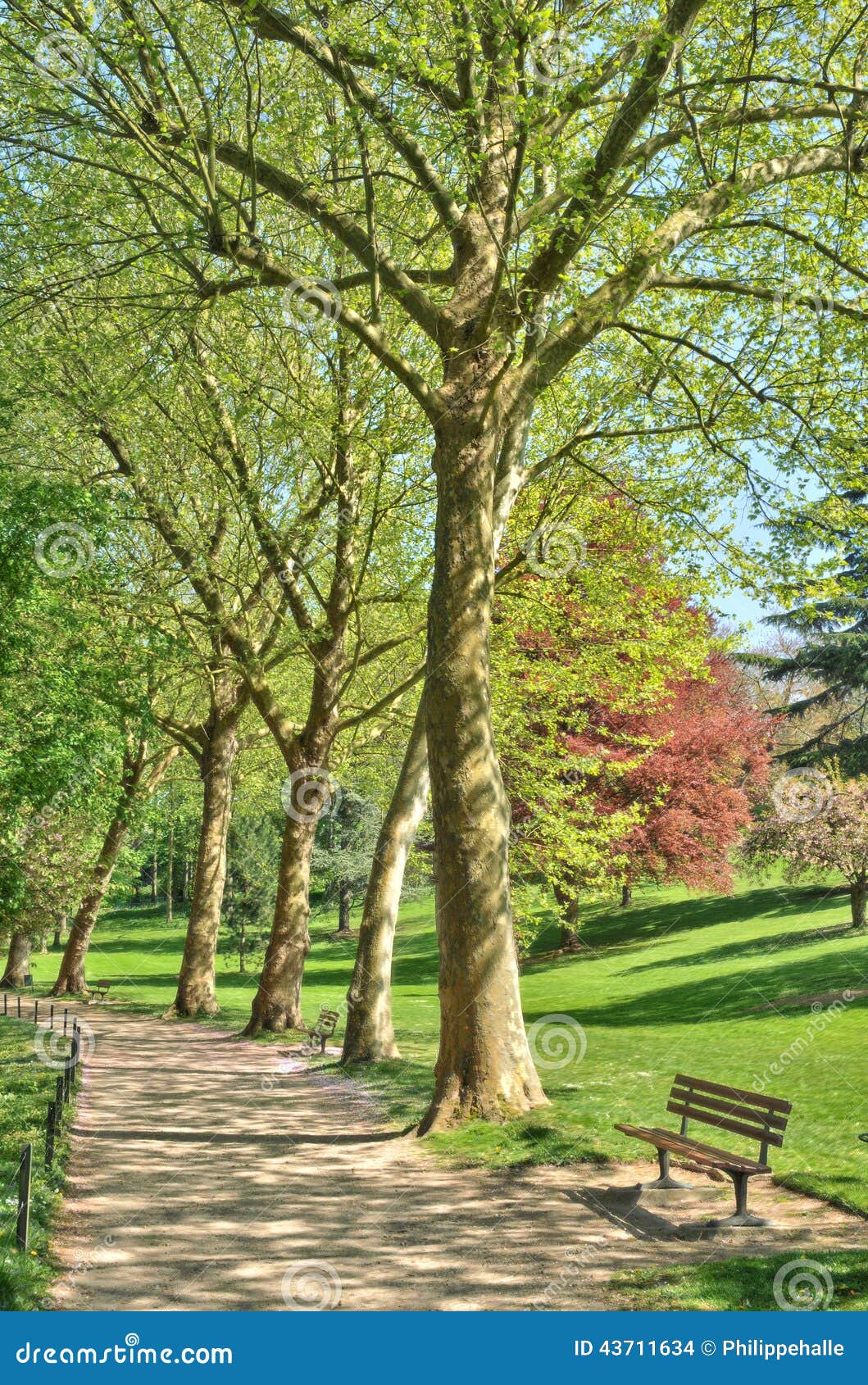 France, the Meissonnier Park in Poissy Stock Photo - Image of beauty ...