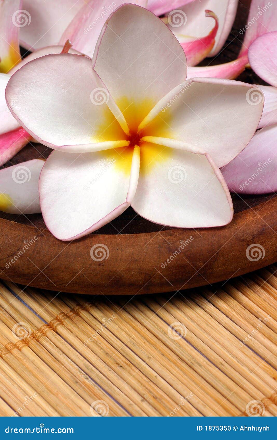 Flower In Rattan Vase On The Shelf Royalty-Free Stock Image ...