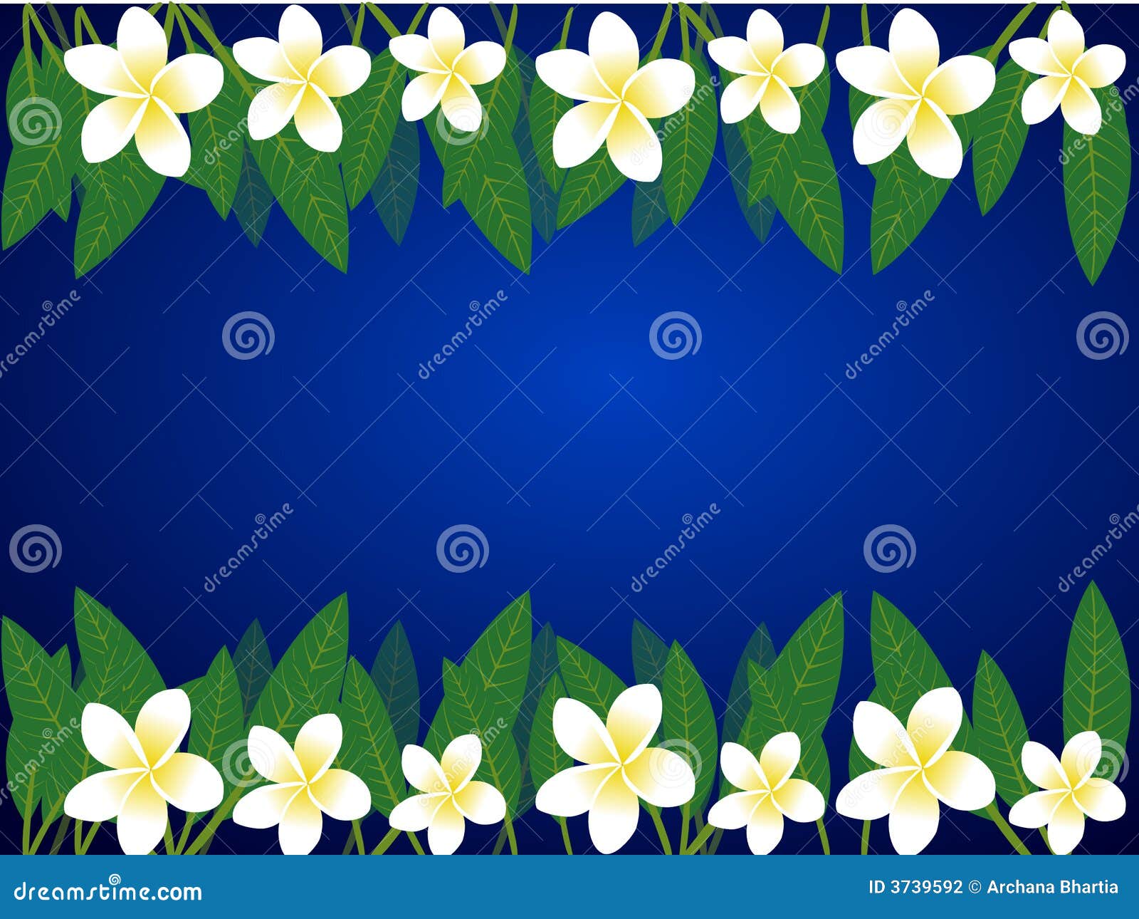Frangipani border stock vector. Illustration of nature - 3739592