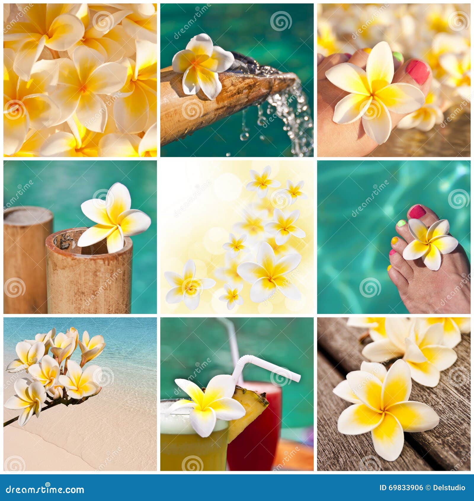 Flower Collage Royalty-Free Stock Photo | CartoonDealer.com #159822699