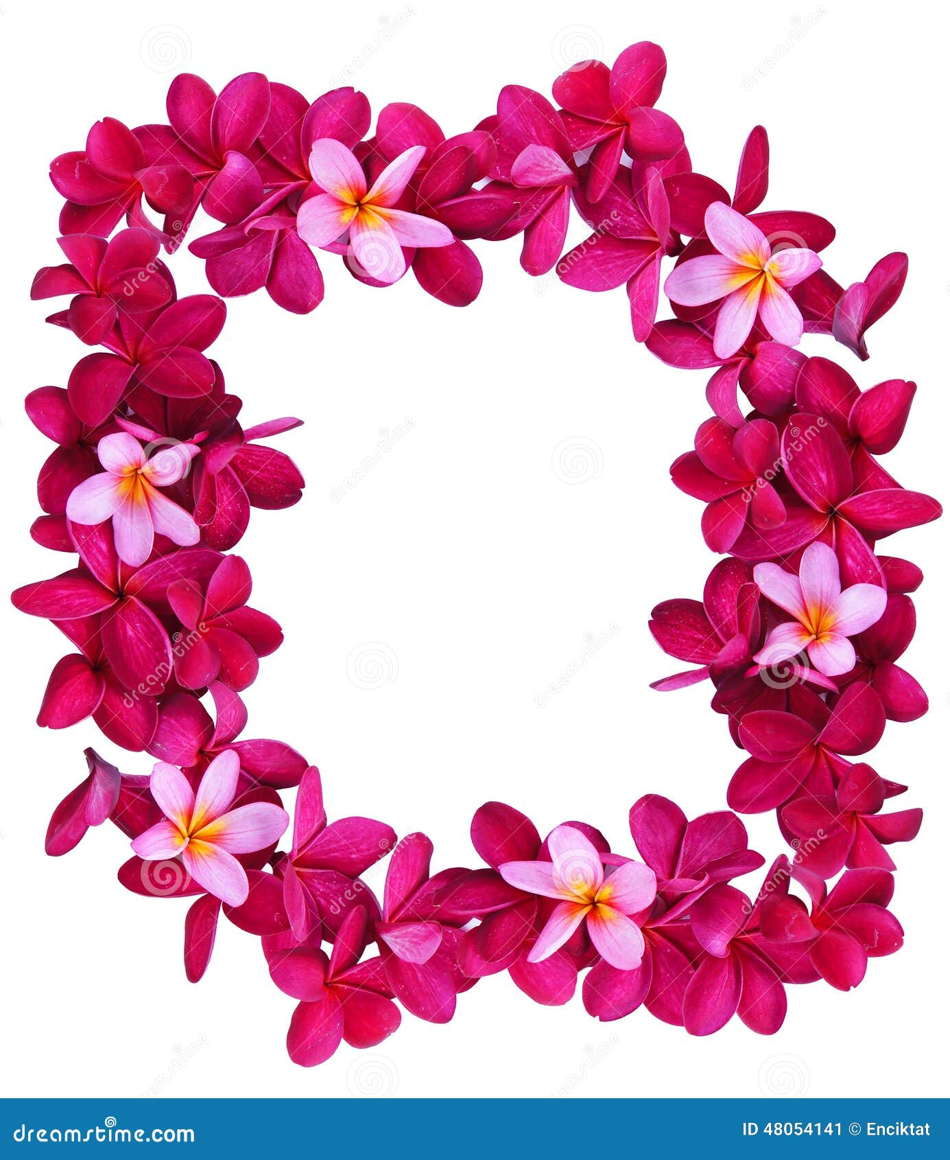Flower Lei Frame Isolated Stock Photos - Free & Royalty-Free Stock ...