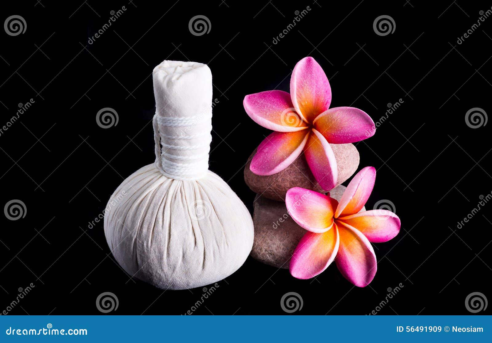 Frangipani flowers stock image. Image of lifestyle, copy - 56491909