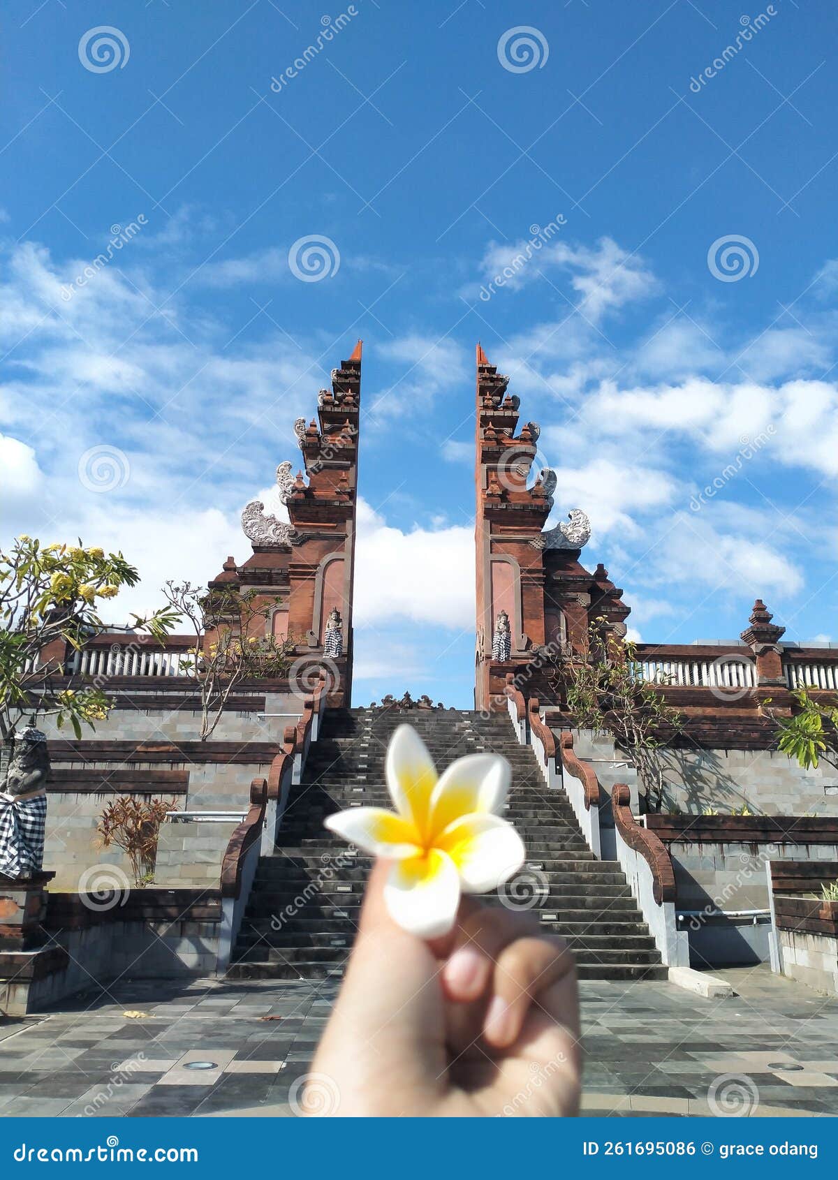 Frangipani Flowers and Temples in Bali Stock Photo - Image of temples ...
