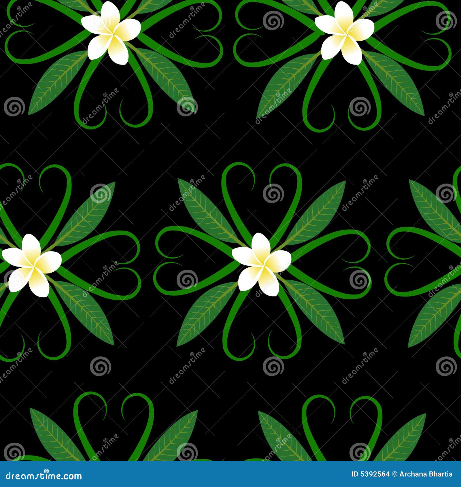 Polynesian Frangipani Tattoo Designs, Araliya Flower Drawing, Hand ...