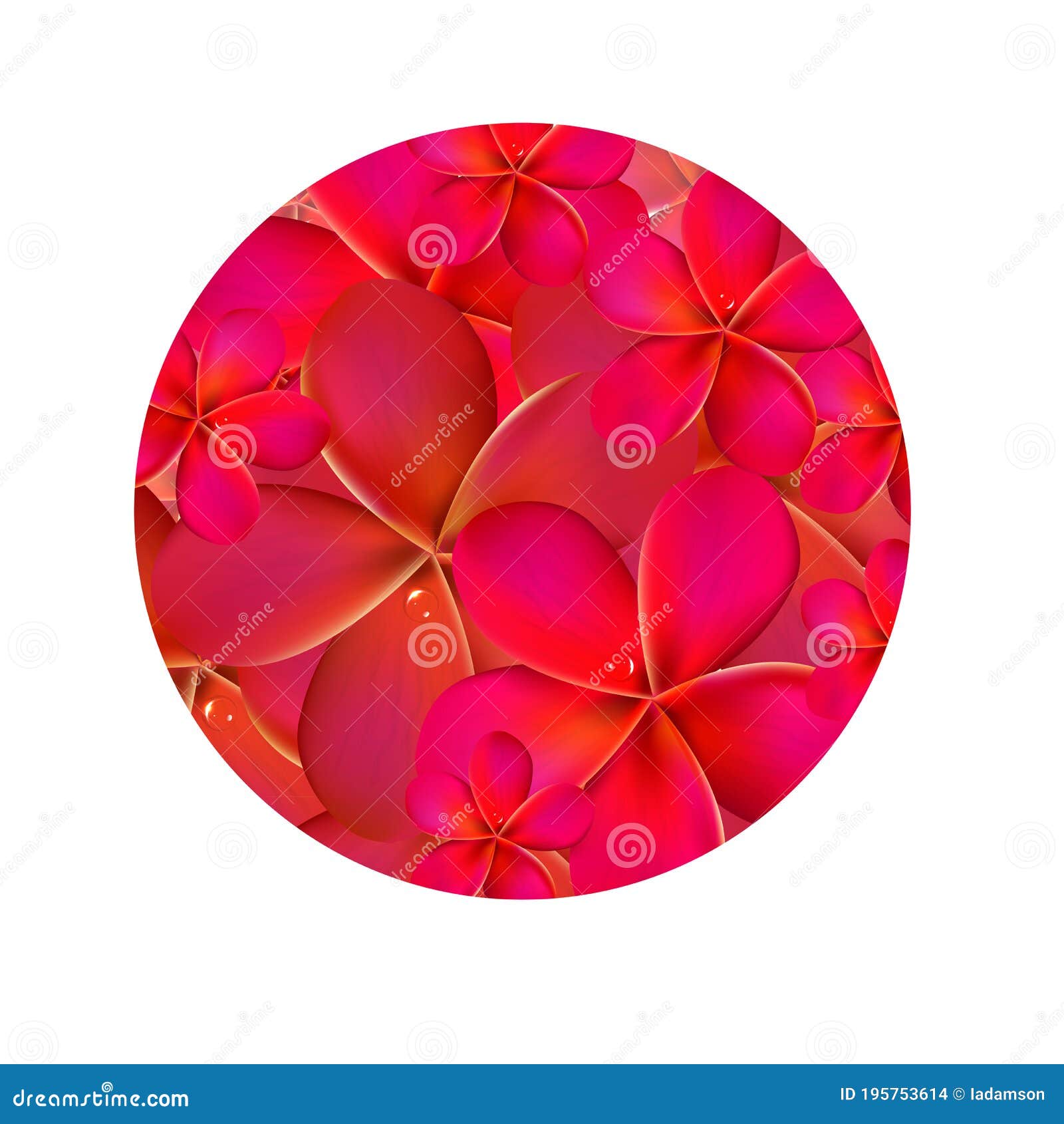 Frangipani Shere stock vector. Illustration of beauty - 195753614