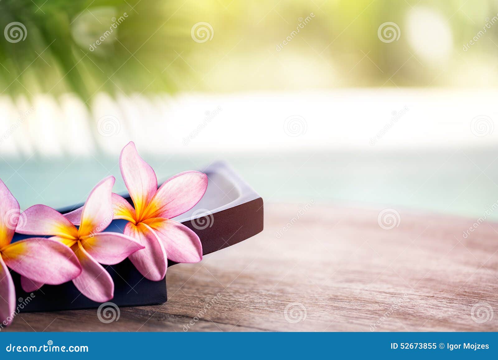 Frangipani Tropical Spa Flower Stock Image - Image of concept, blossom ...
