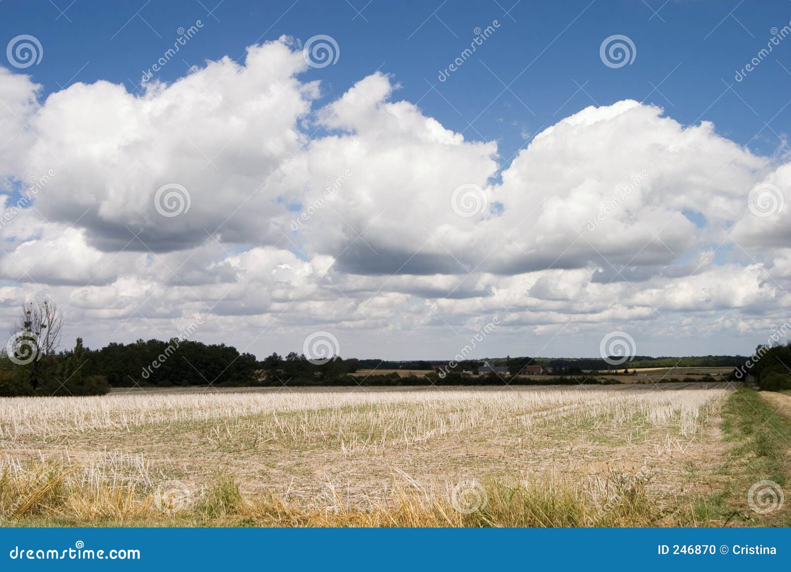 Frans landschap stock foto. Image of blauw, landbouw, wolk - 246870