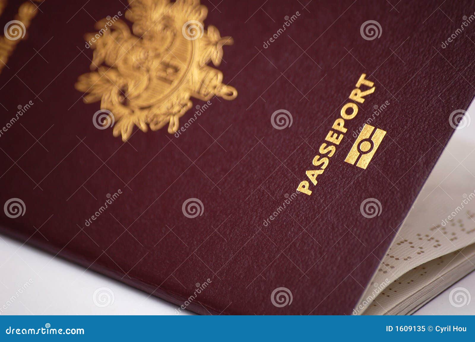 Frans paspoort stock afbeelding. Image of frans, nieuw - 1609135