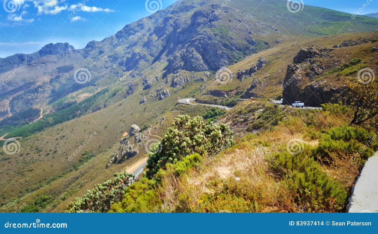 Franschhoek Pass viewing stock photo. Image of tree, ecosystem - 83937414