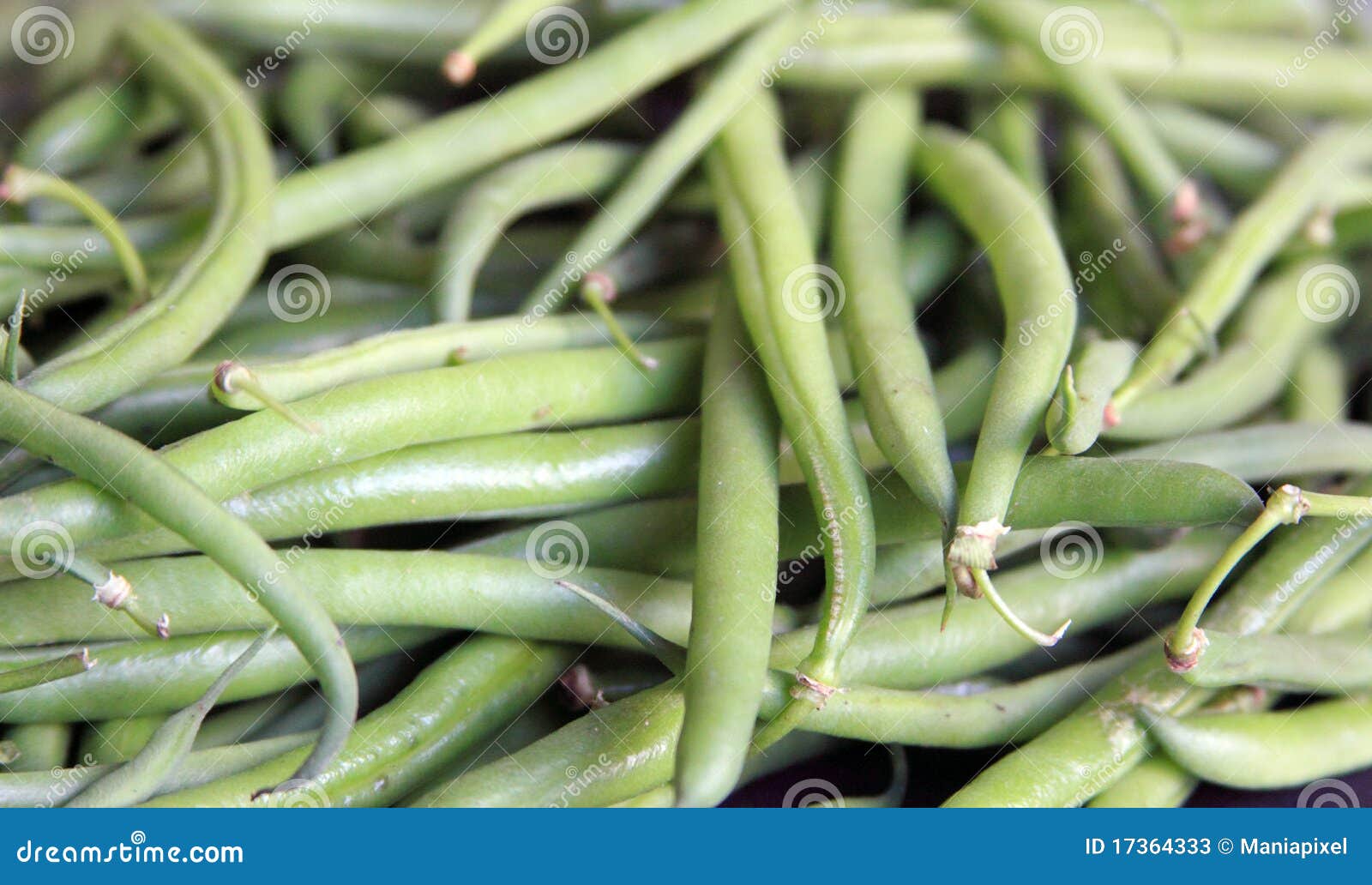 Franse bonen stock afbeelding. Image of vegetariër, vitaminen - 17364333