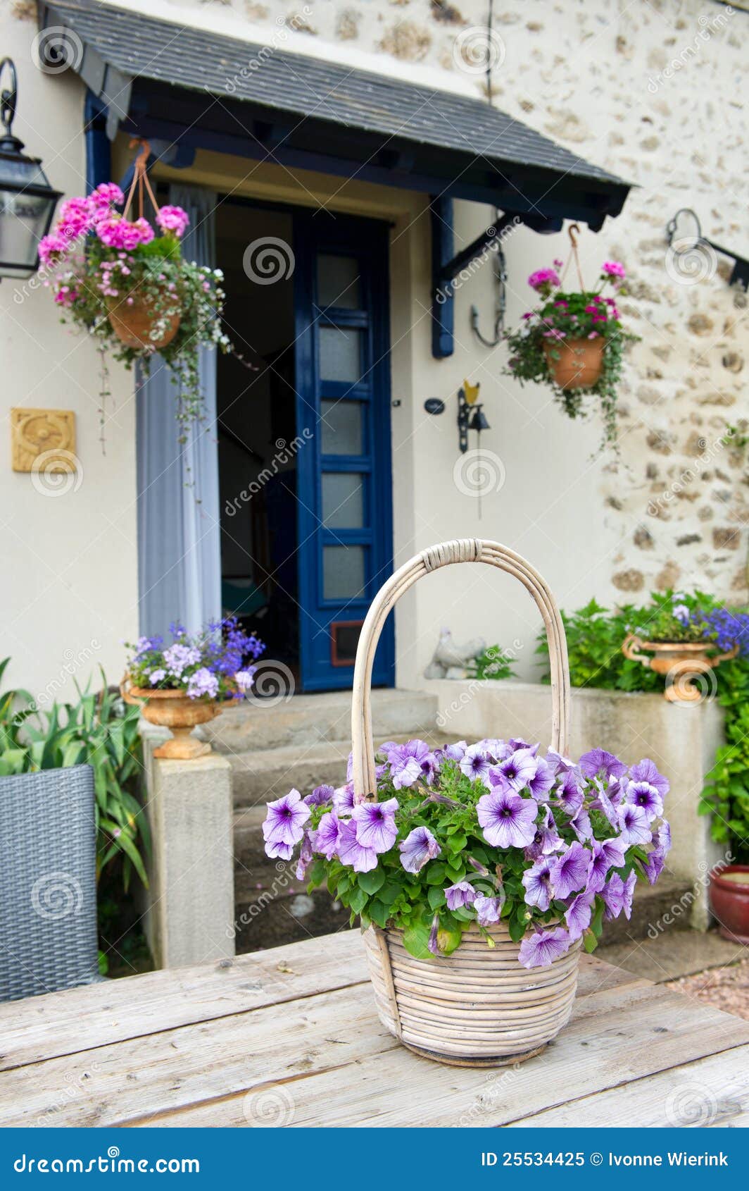 Franse tuin stock afbeelding. Image of petunia, open - 25534425