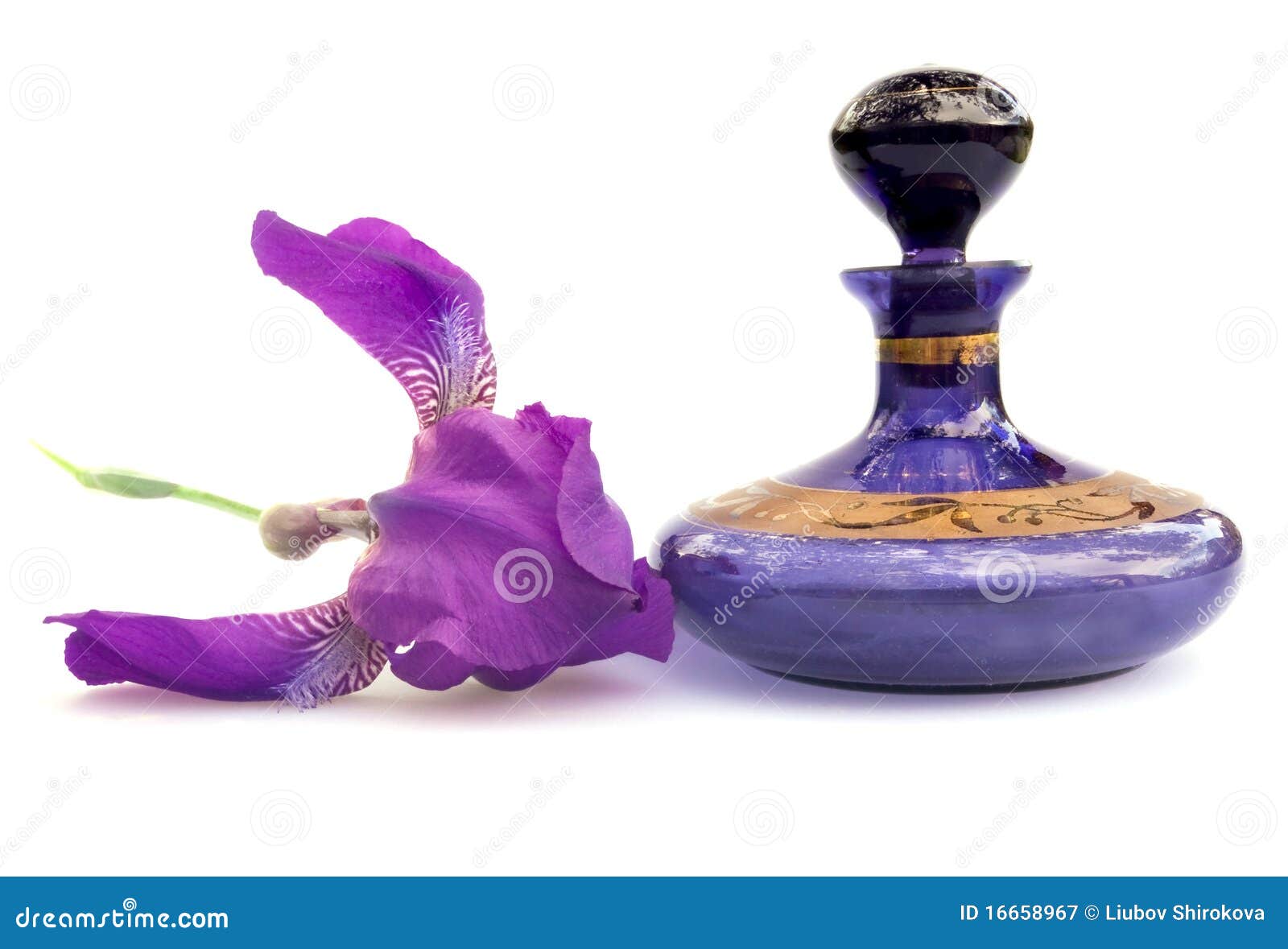 Frasco antigo imagem de stock. Imagem de roxo, perfumado - 16658967