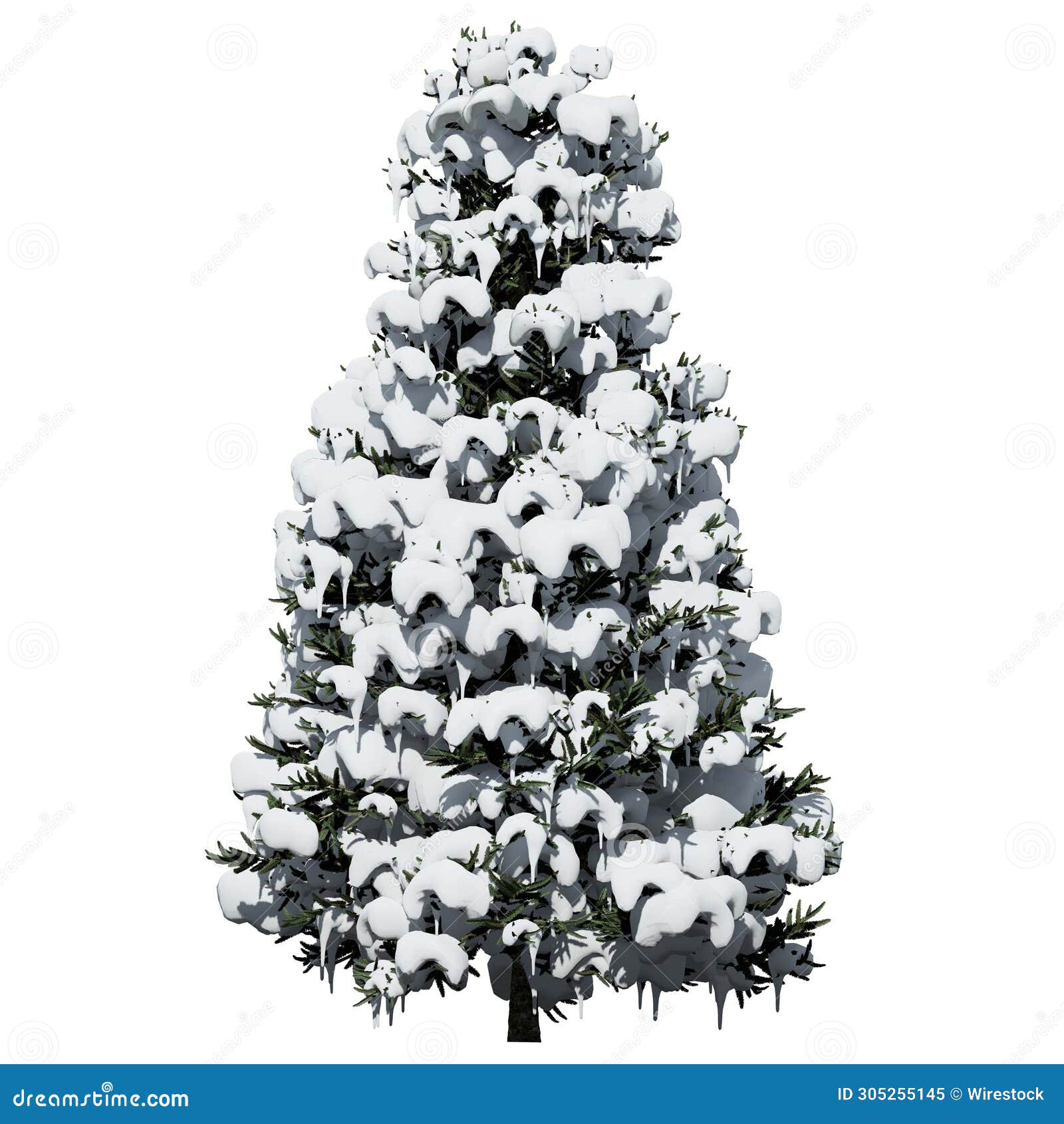 Fraser Fir Snow Covered Tree Front View Isolated on White Background ...