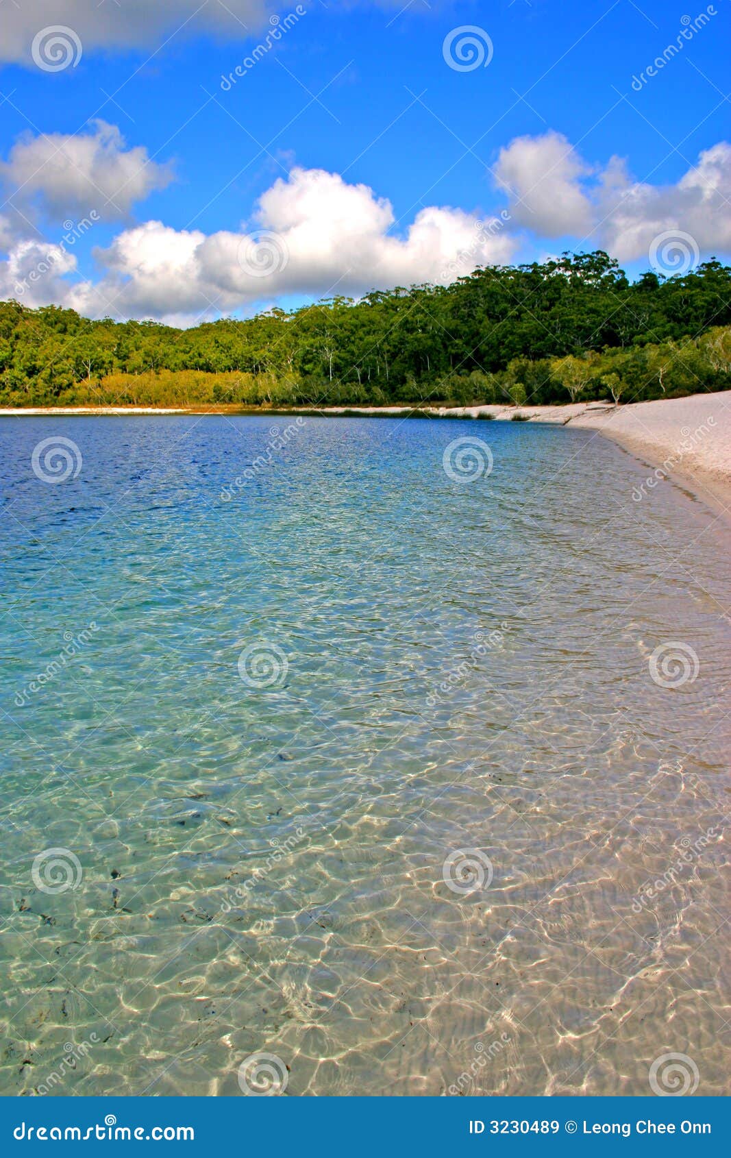 Fraser Island, Australia stock image. Image of noosa, exploration - 3230489