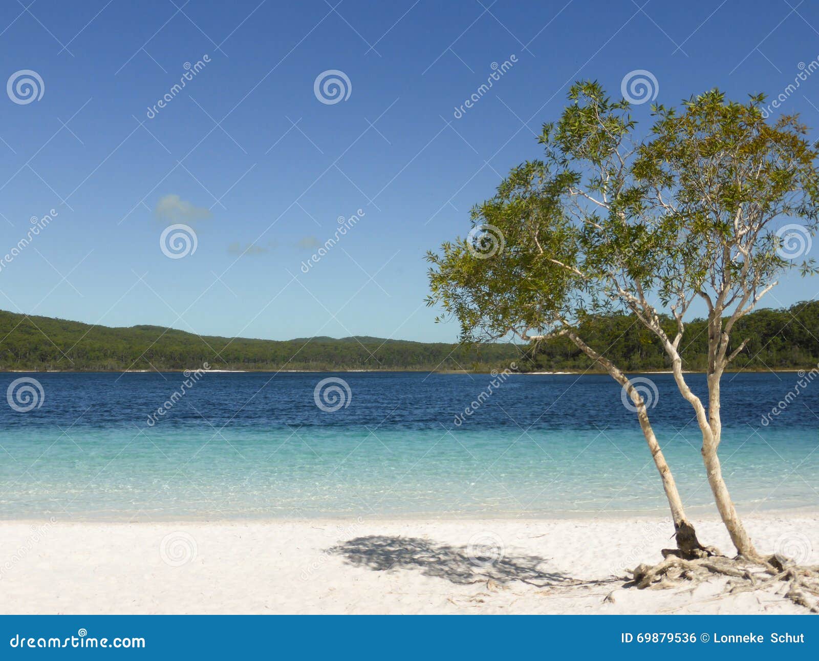 Fraser Island, Australia stock photo. Image of costal - 69879536