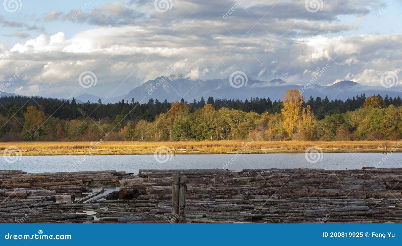 Fraser river fall colors stock image. Image of mountain - 200819925
