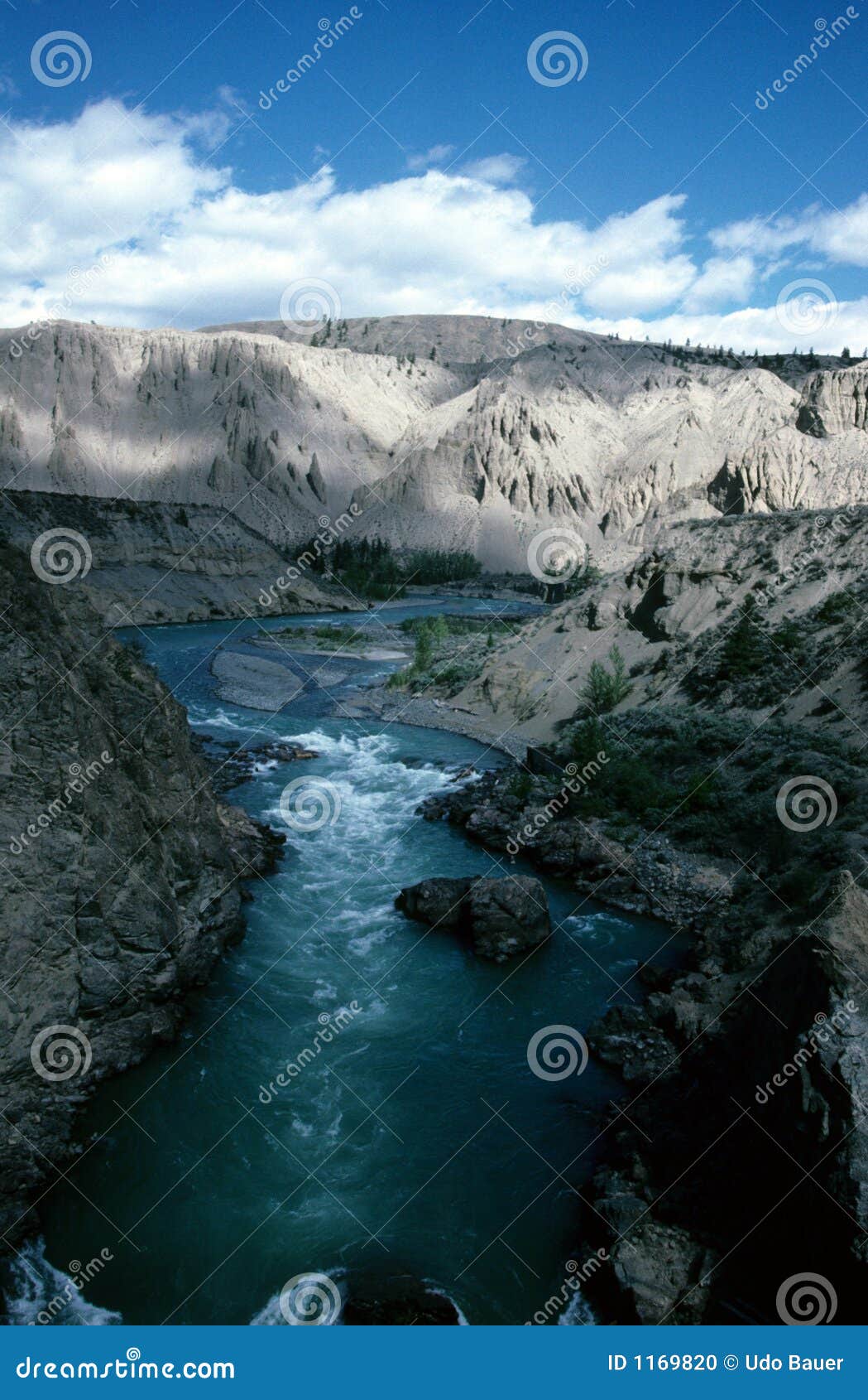 Fraser river in spring stock photo. Image of rapid, british - 1169820
