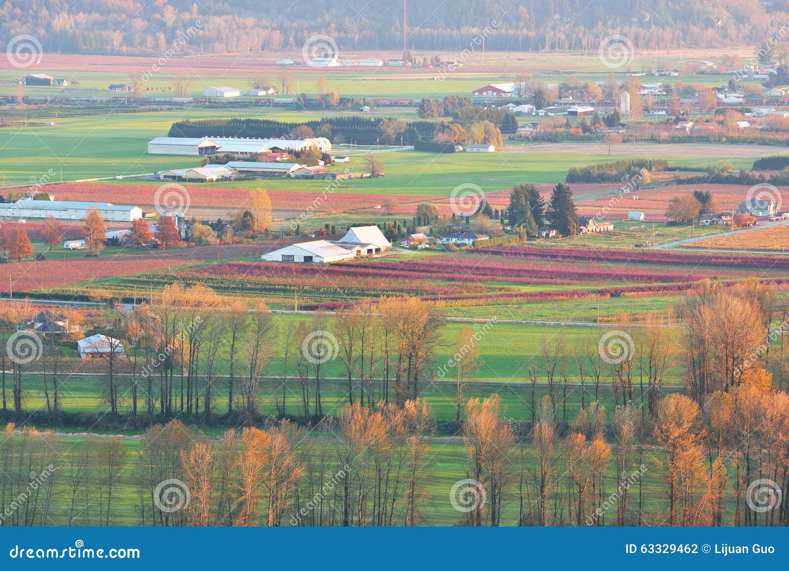 Fraser Valley Blueberry Farm In Winter Stock Photography ...