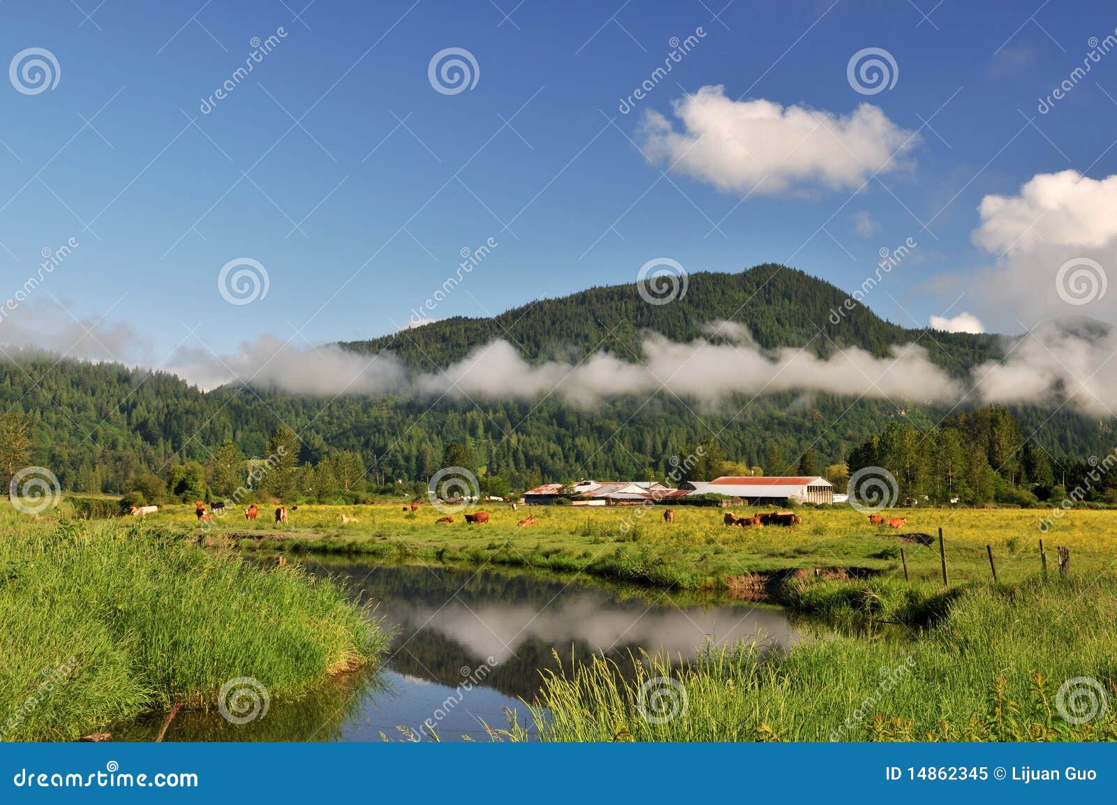 Fraser Valley Blueberry Farm In Winter Stock Photography ...