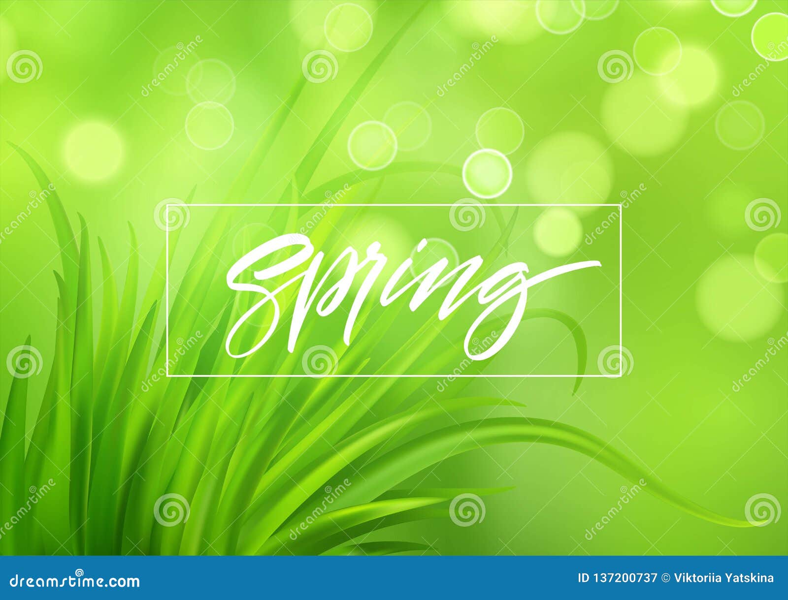 Frash Spring Green Grass Background With Handwriting Lettering. Vector ...
