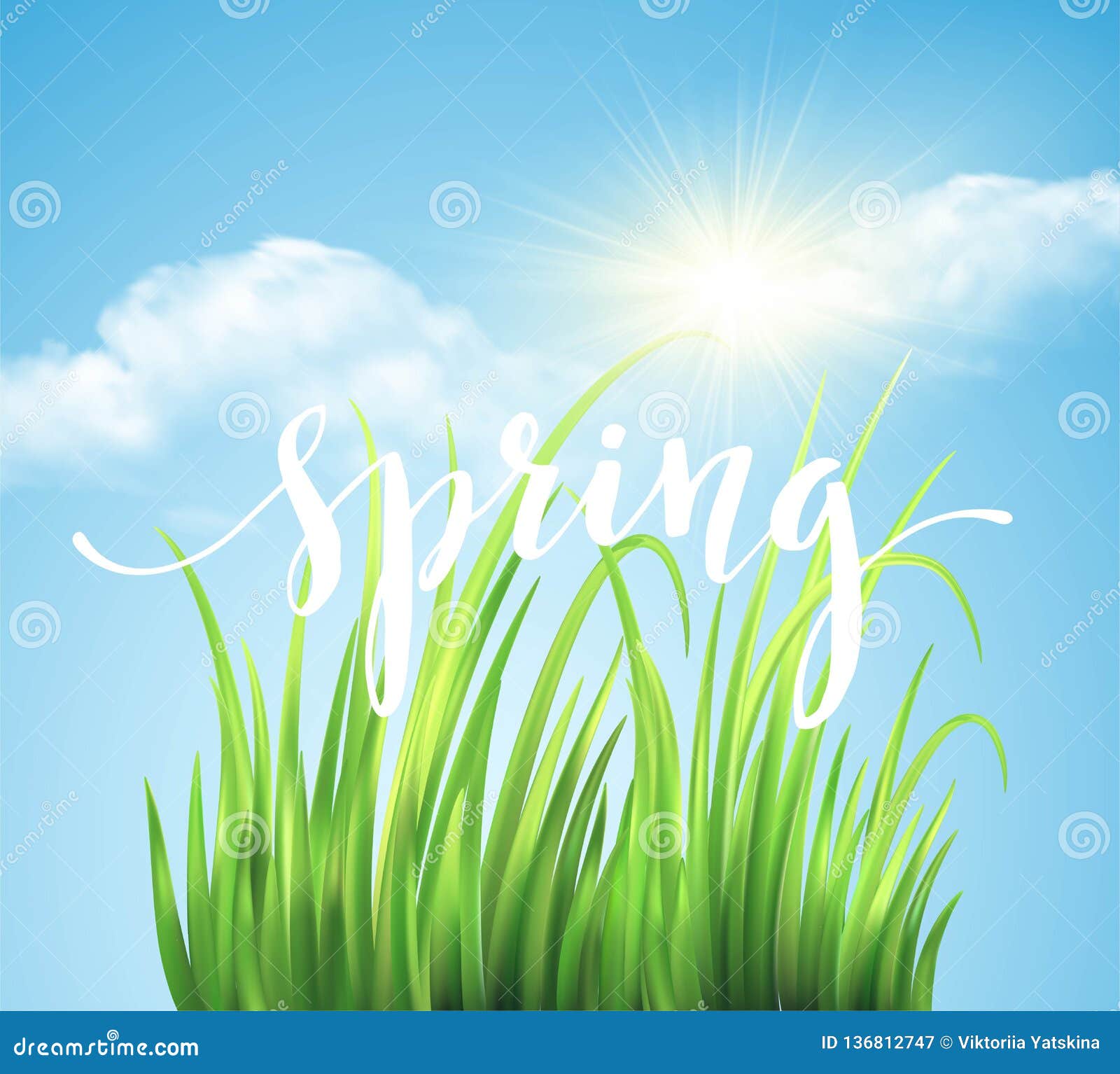 Frash Spring Green Grass Background With Handwriting Lettering. Vector ...