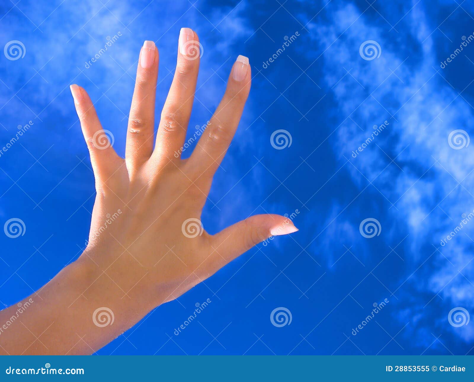Frau/Hand Auf Blauem Himmel Stockbild - Bild von geben, mitleid: 28853555