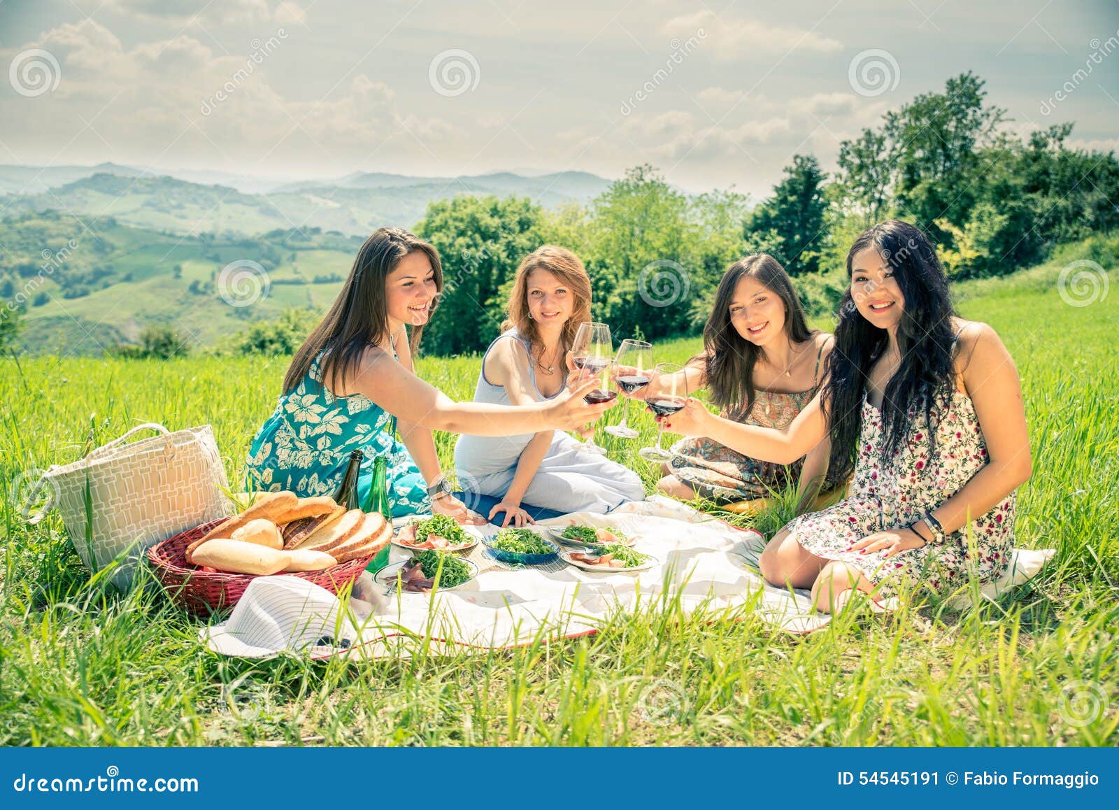 Frauen am Picknick stockbild. Bild von freundinnen, partei - 54545191