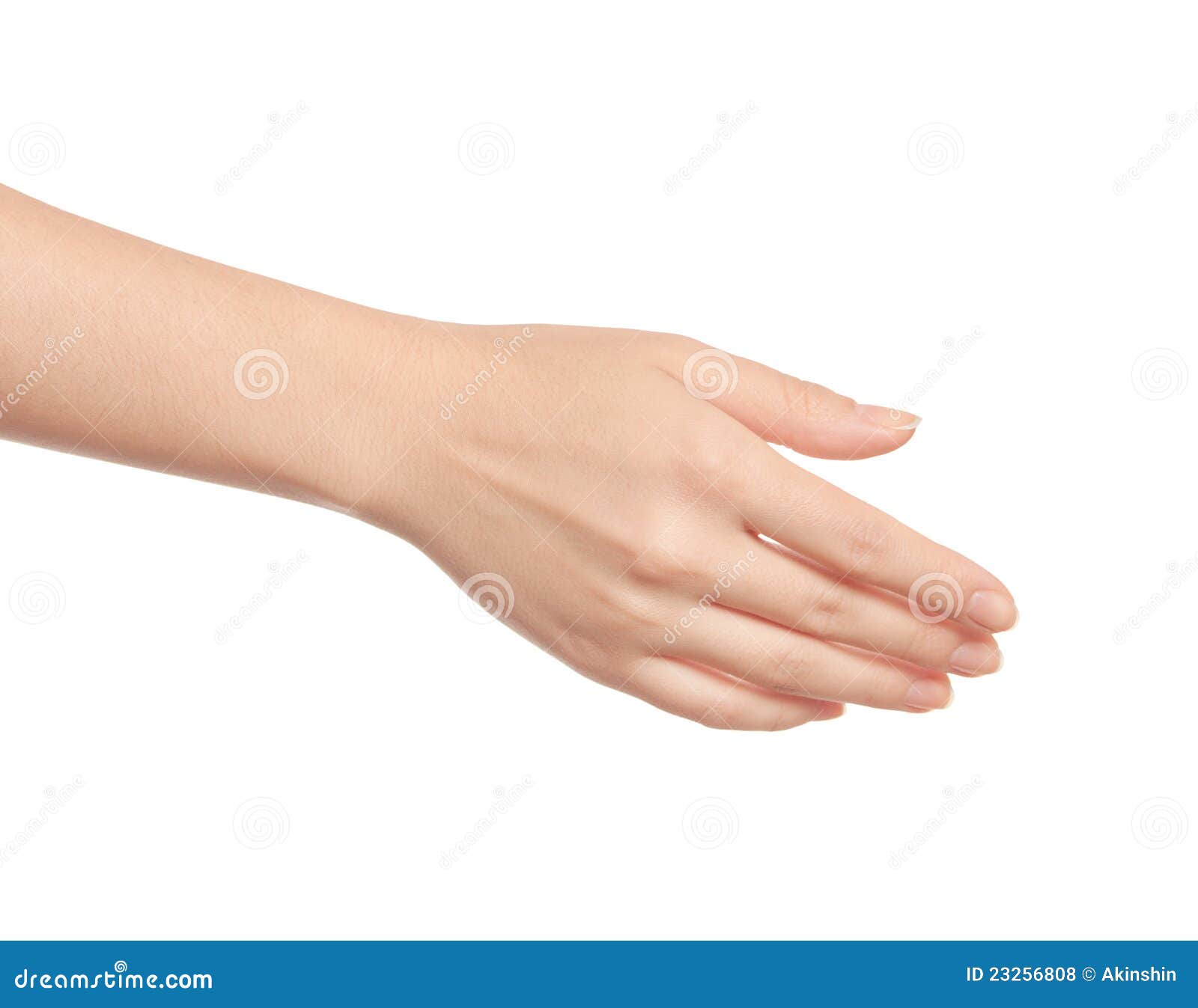 Frauenhand stockfoto. Bild von hygiene, geben, kosmetik - 23256808