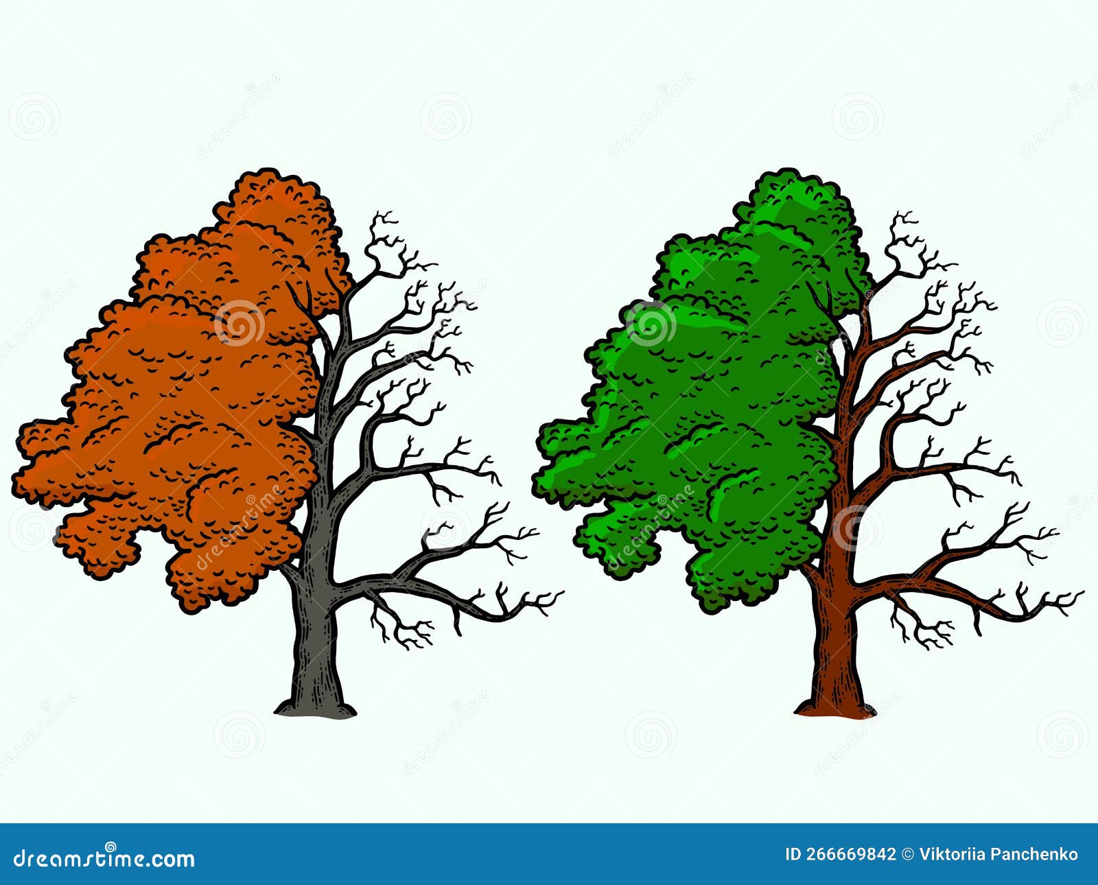 Ash Tree Fraxinus Leaf And Seed, Hand Drawn Doodle, Sketch Vector ...