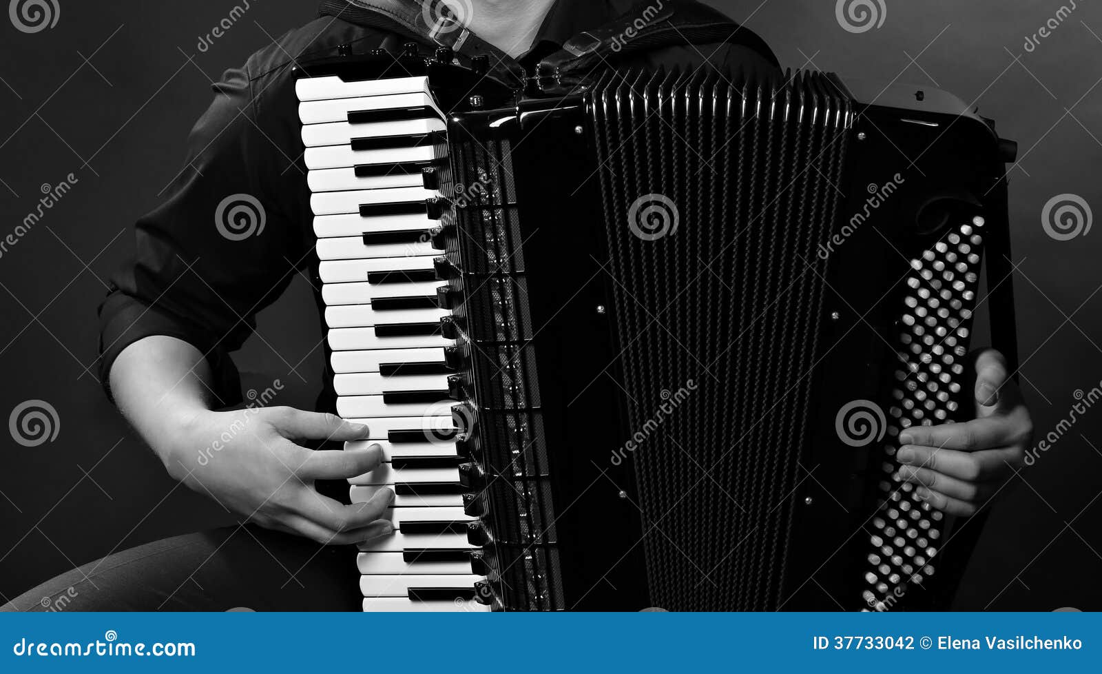 Frayed Buttons of Accordion Stock Photo - Image of musician, play: 37733042