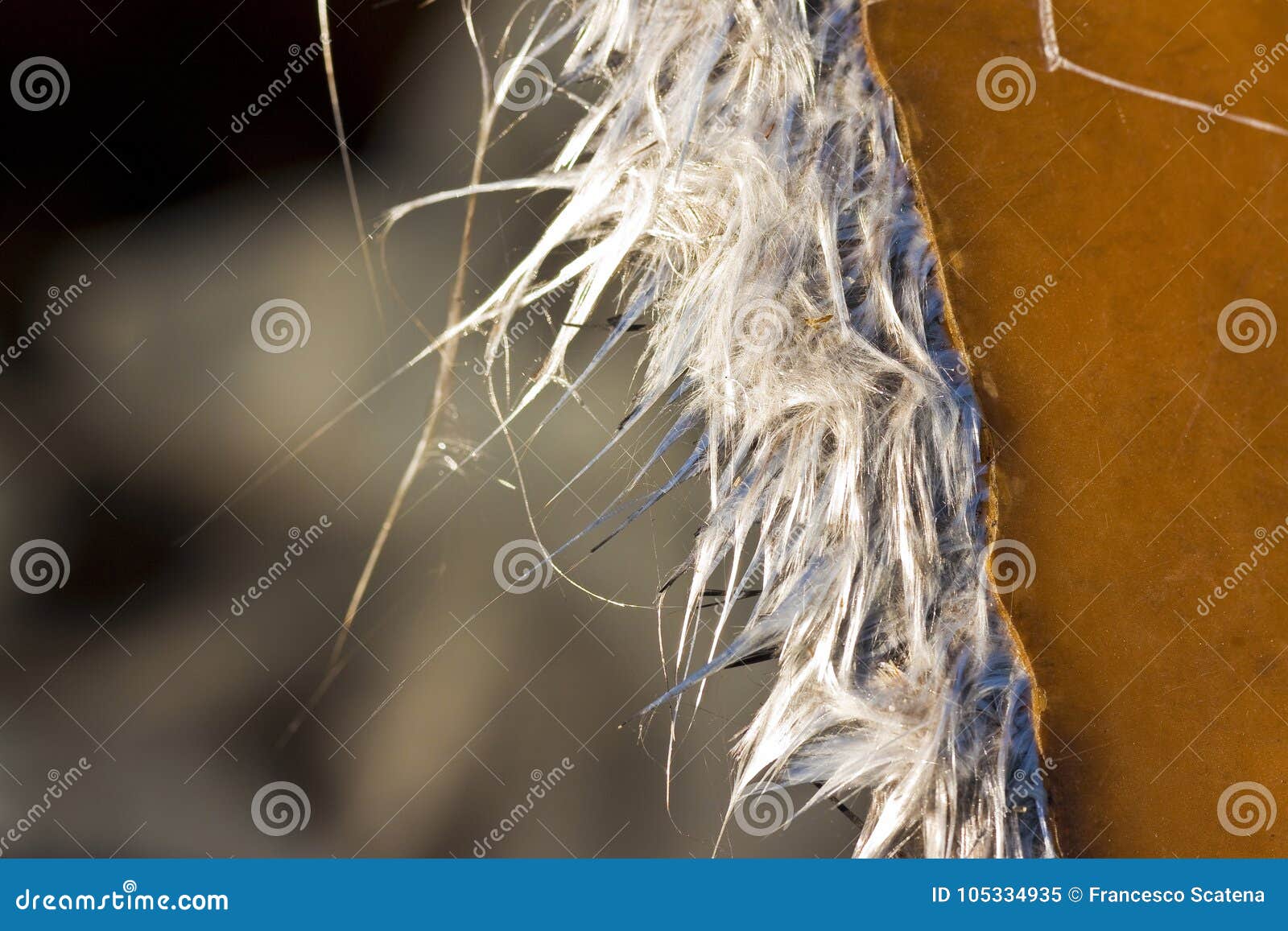 Frayed Fiberglass Detail - Image with Copy Space Stock Image - Image of ...