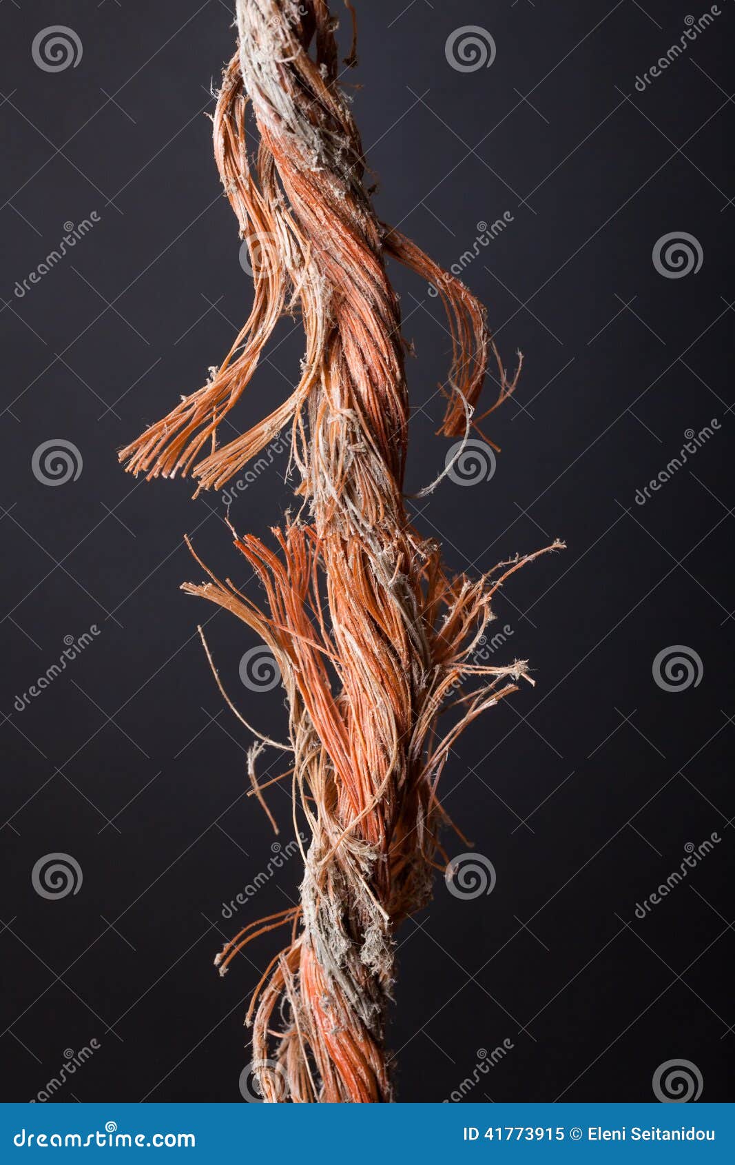 Frayed rope stock image. Image of risk, cord, brown, sever - 41773915