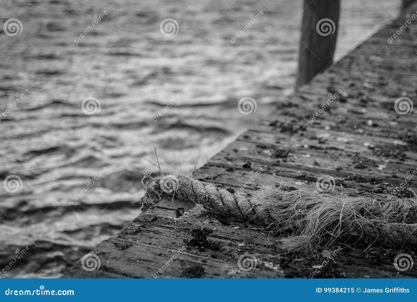 Frayed Rope Bridge Stock Photos - Free & Royalty-Free Stock Photos from ...
