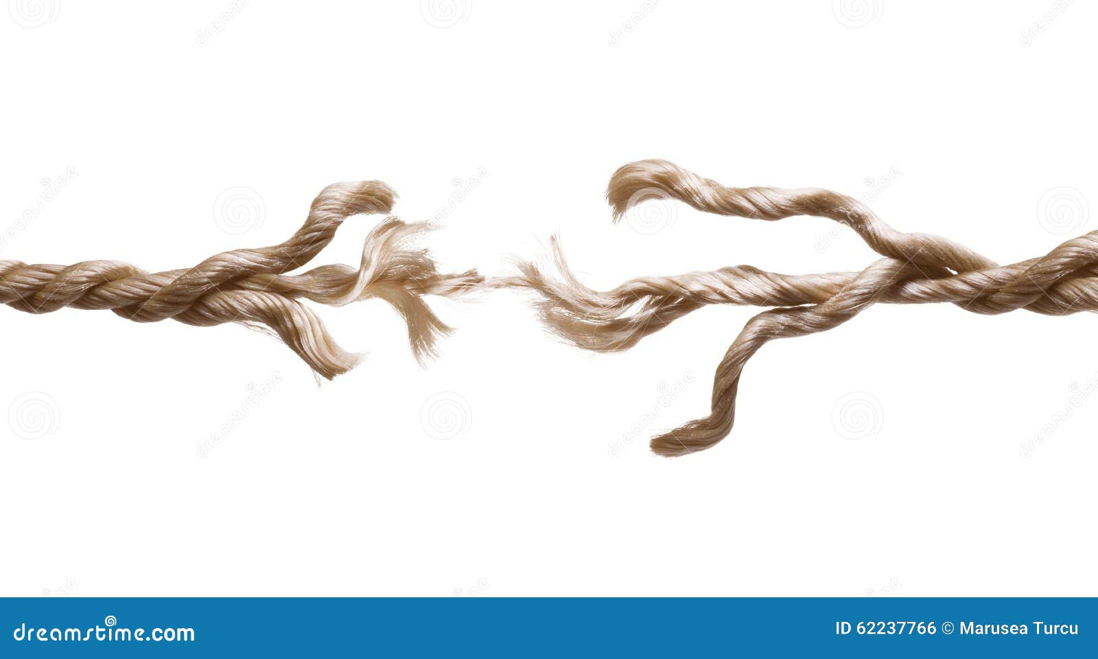 Frayed rope isolated stock photo. Image of fray, isolated - 62237766