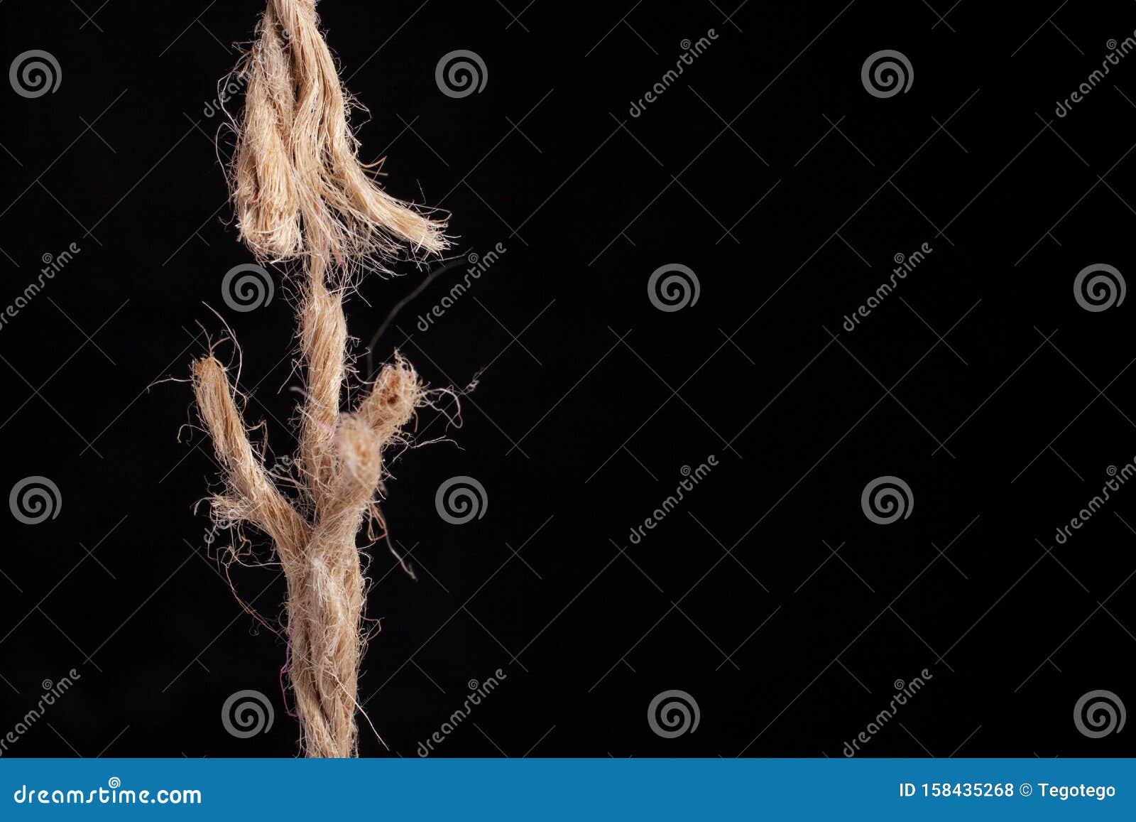 Frayed rope ready to break stock photo. Image of rough - 158435268