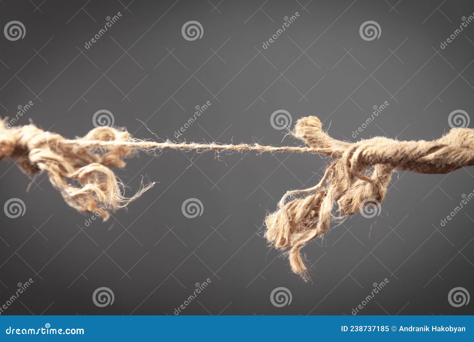 Frayed Rope about To Break on Grey Background. Risk Stock Image - Image ...