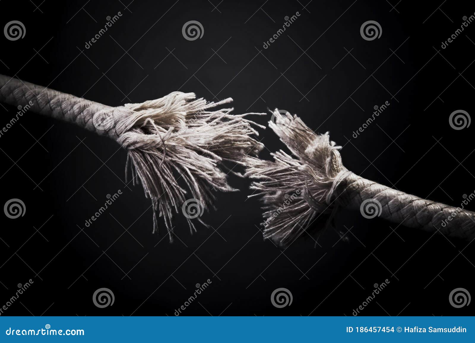 Fraying rope stock photo. Image of concept, hopelessness - 186457454