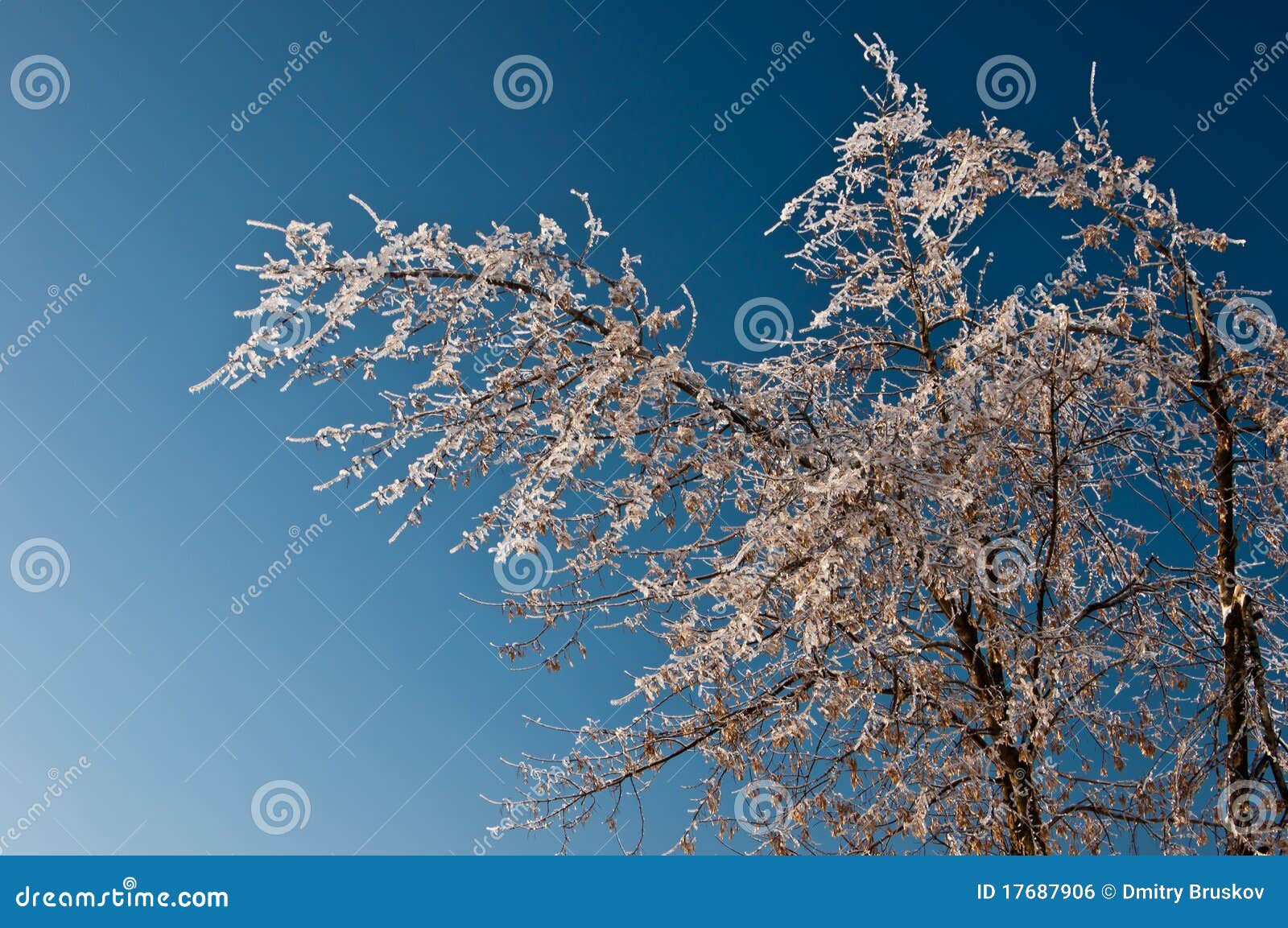 Freak of nature stock photo. Image of nature, climate - 17687906