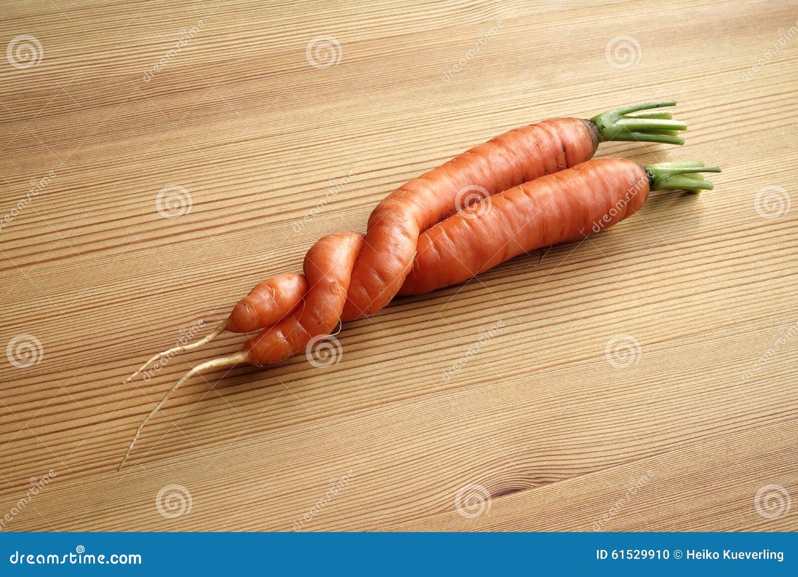 A freak of nature stock photo. Image of strange, fresh - 61529910