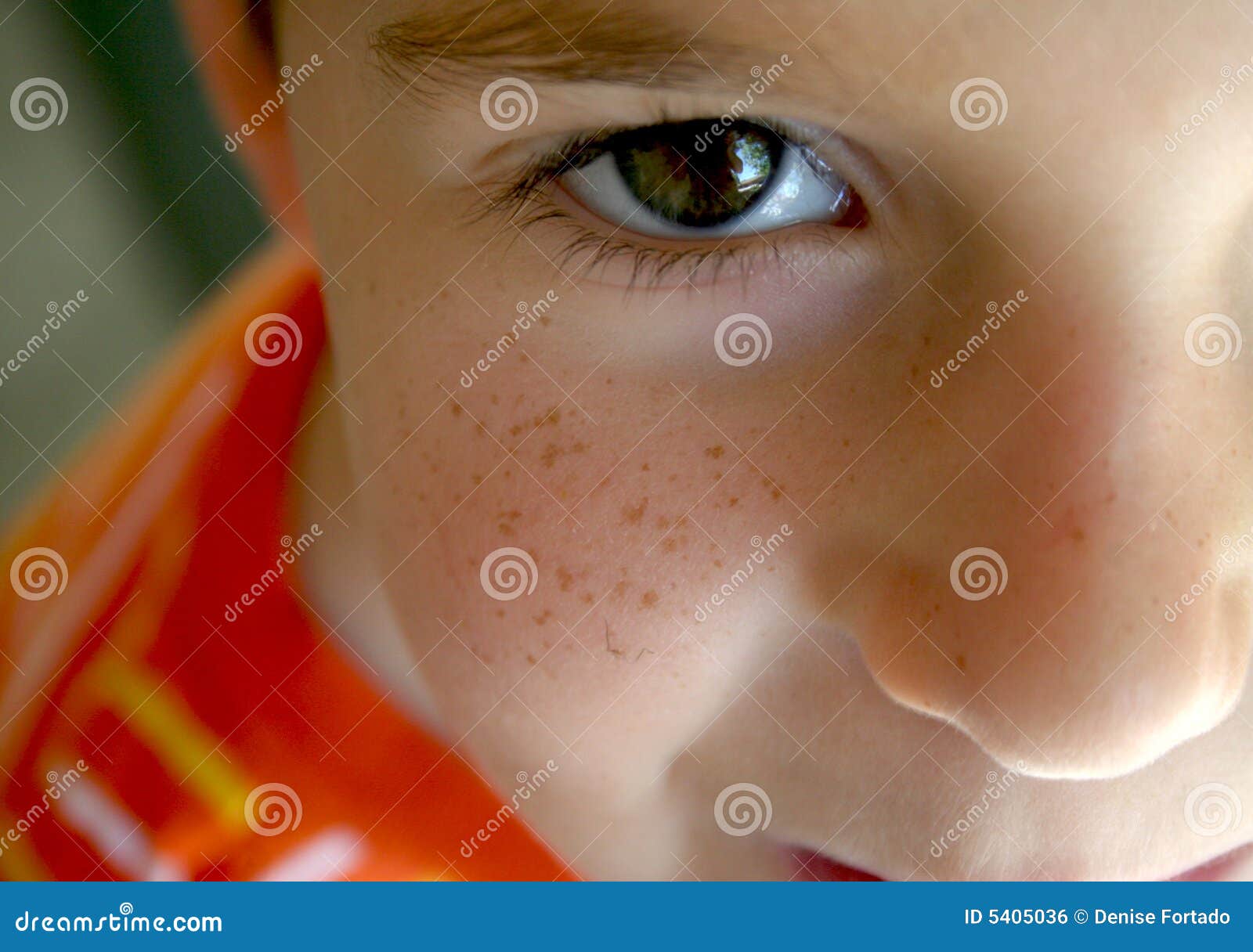 A freckle faced boy stock photo. Image of freckles, face - 5405036