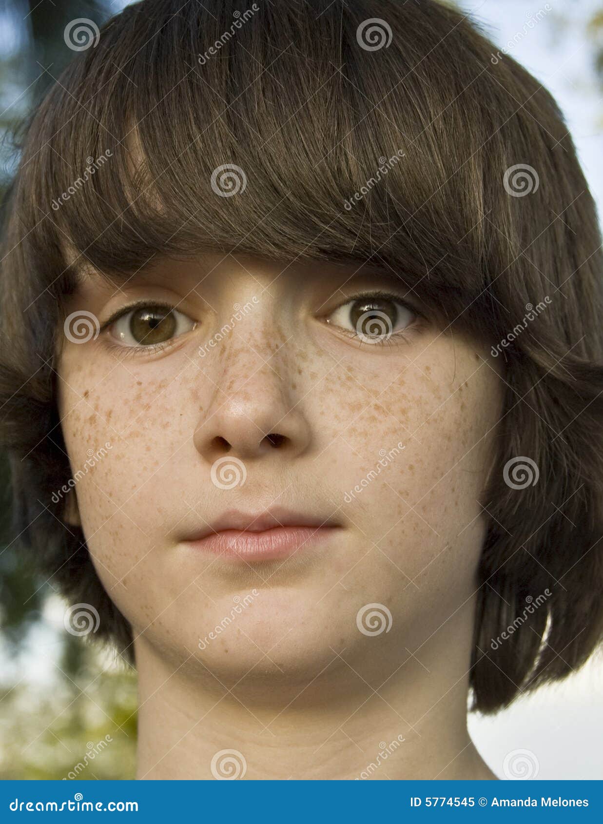 Freckle faced boy. stock image. Image of attitude, young - 5774545