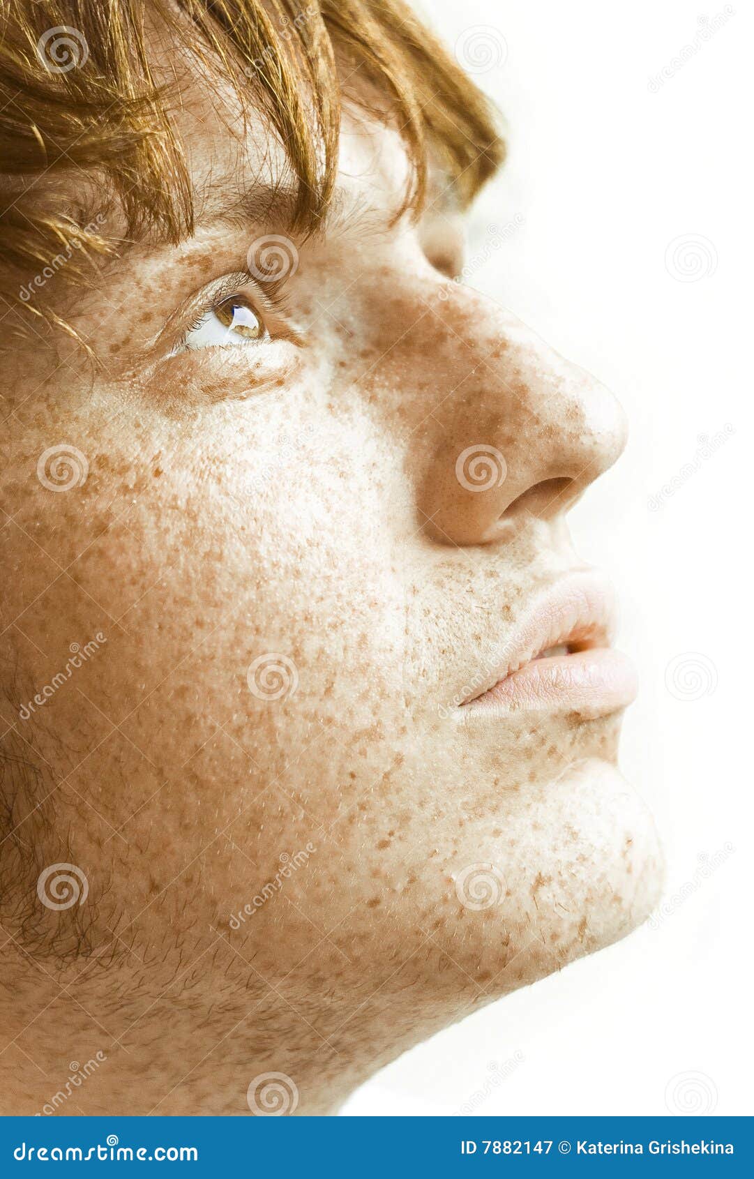 Freckles stock image. Image of human, person, face, freckles - 7882147