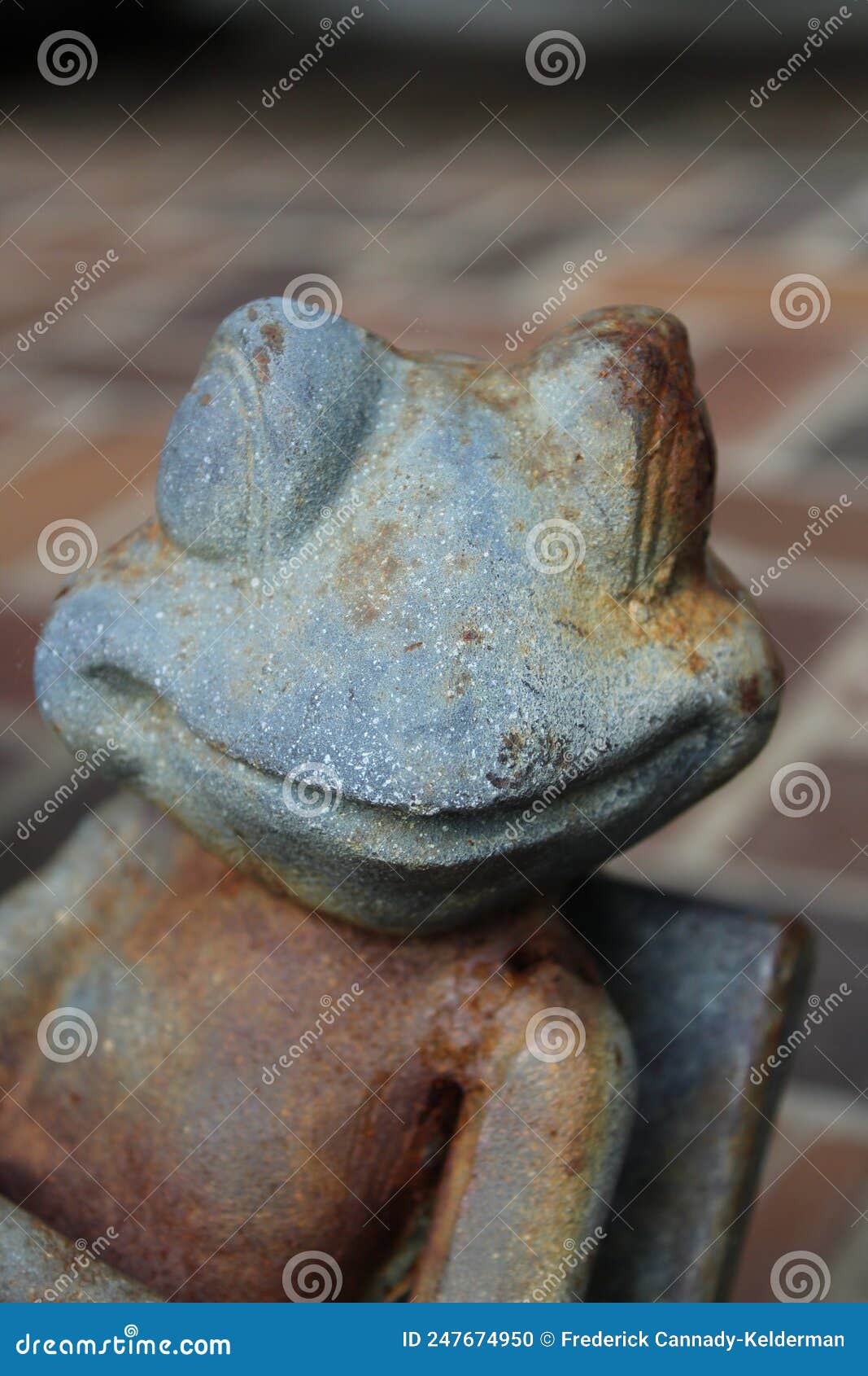 Freddy Frog ðŸ ¸ stock photo. Image of sculpture, organ - 247674950