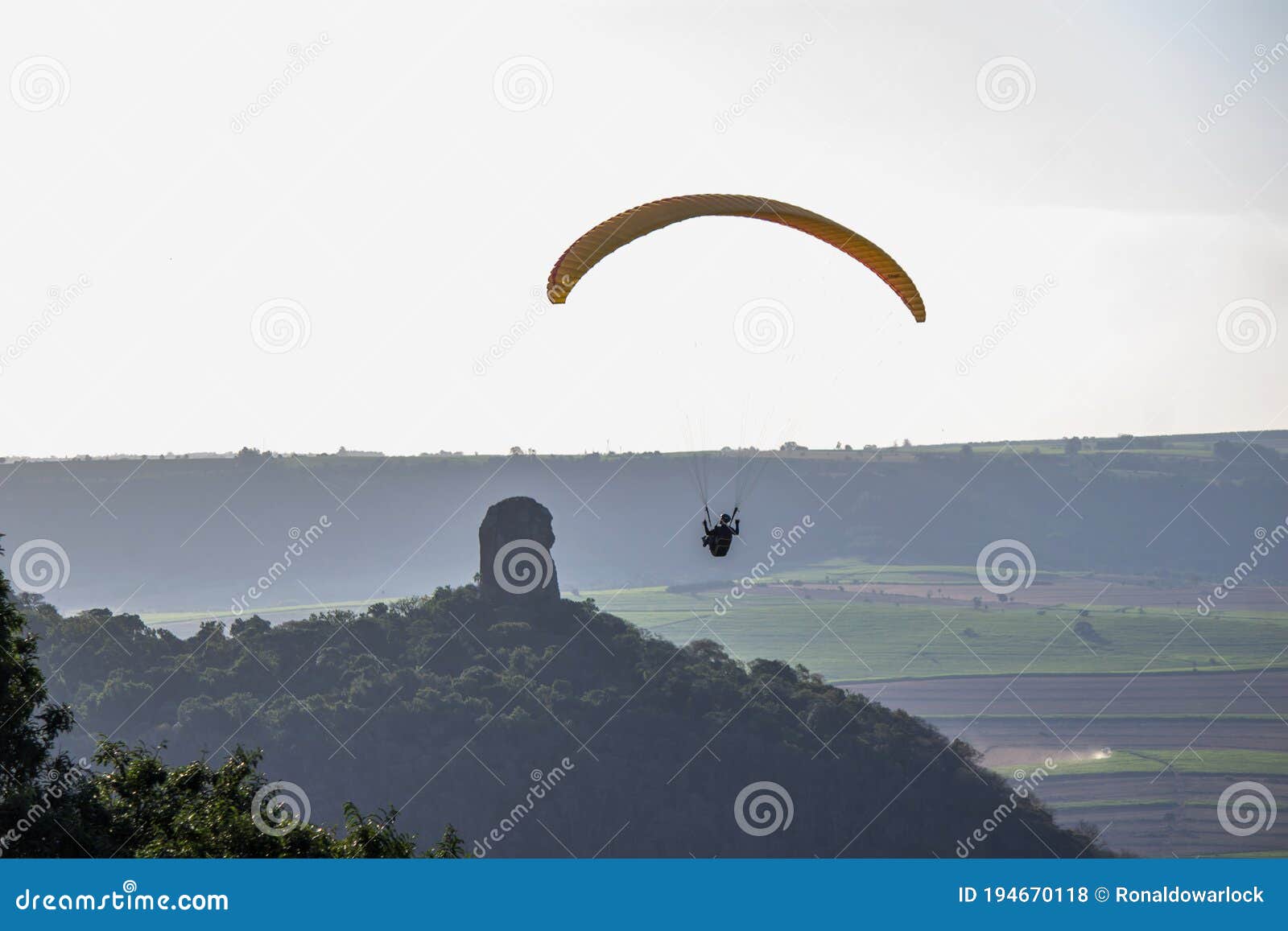 Free as a bird stock photo. Image of contemplating, class - 194670118