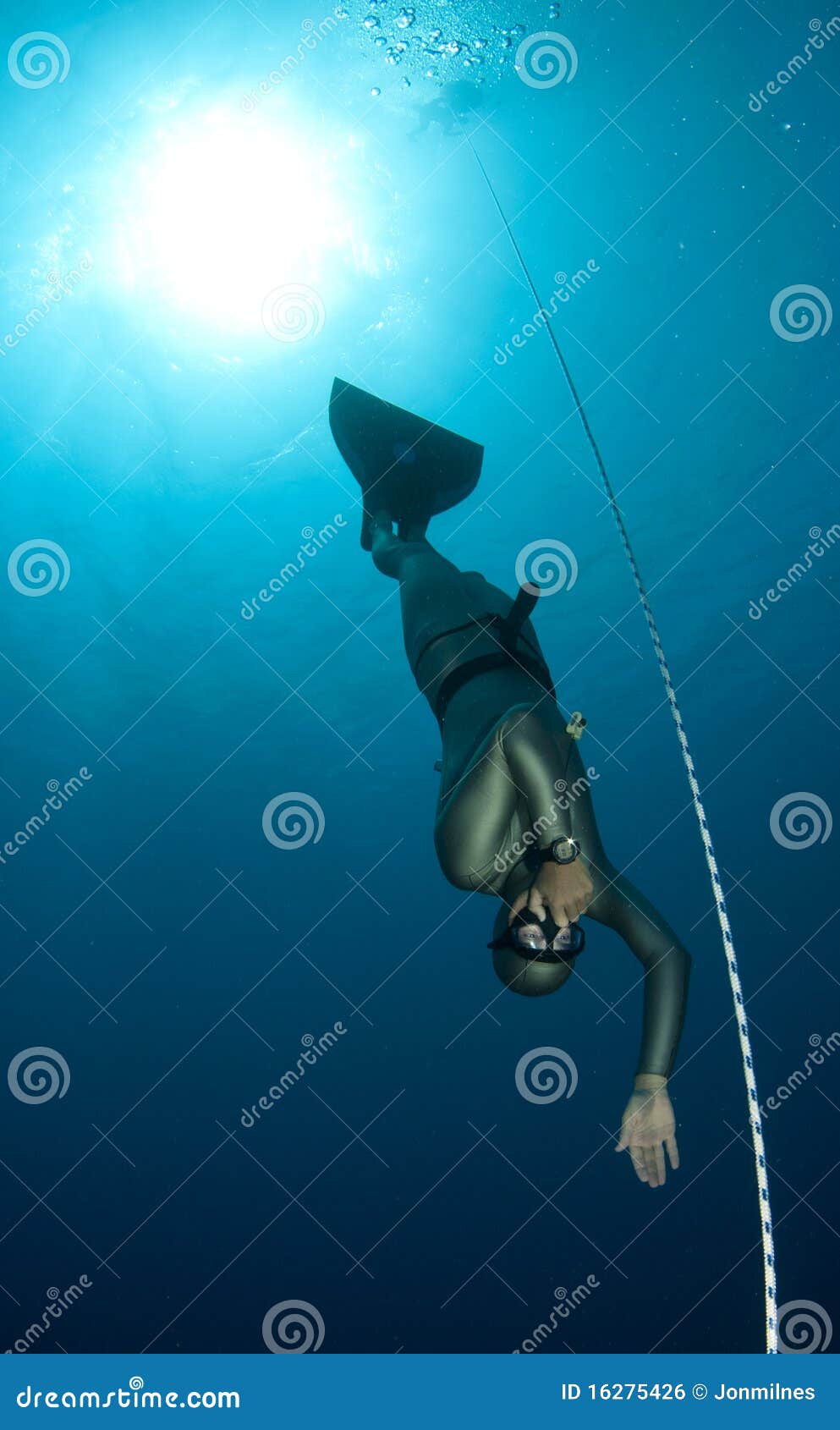 Free Diver Woman With White Fins Posing Underwater. Freediving With ...