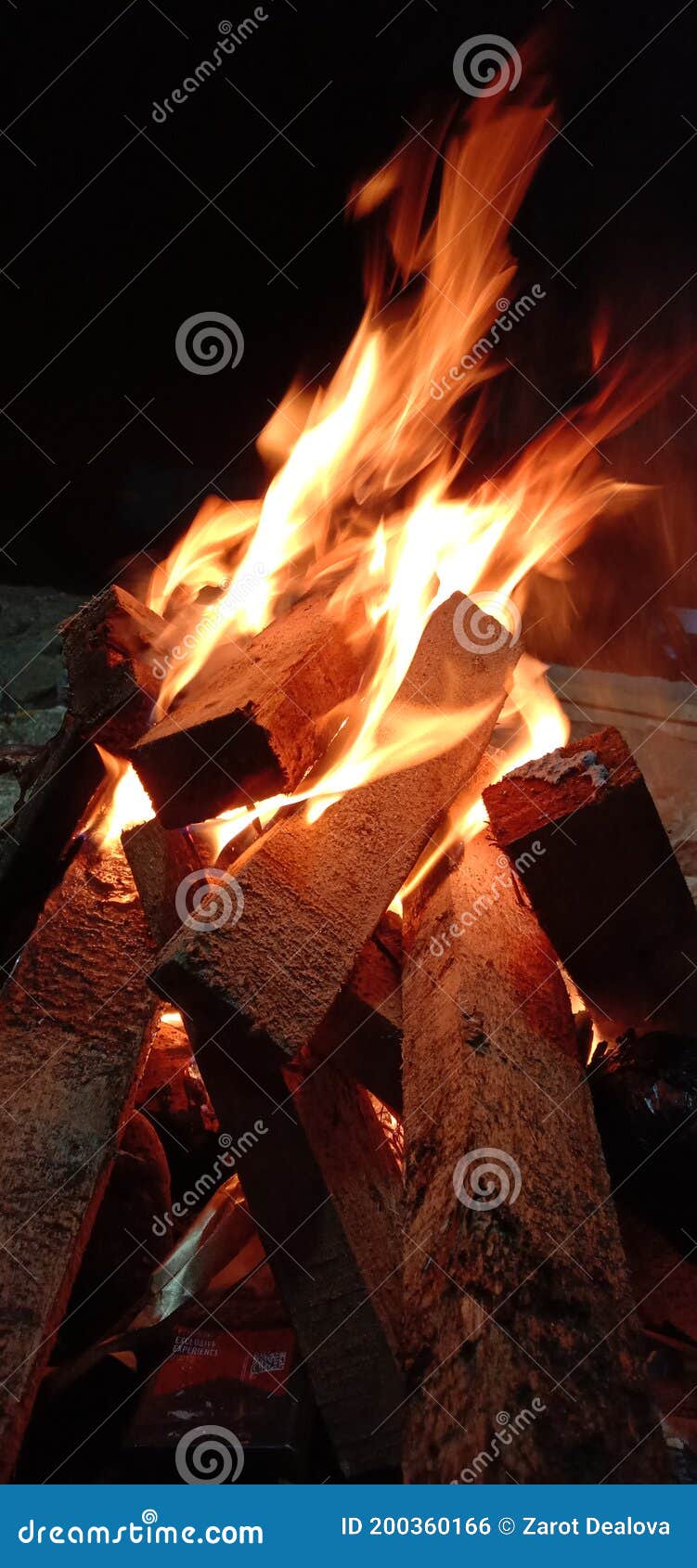 Free fire on Dark Night stock photo. Image of night - 200360166