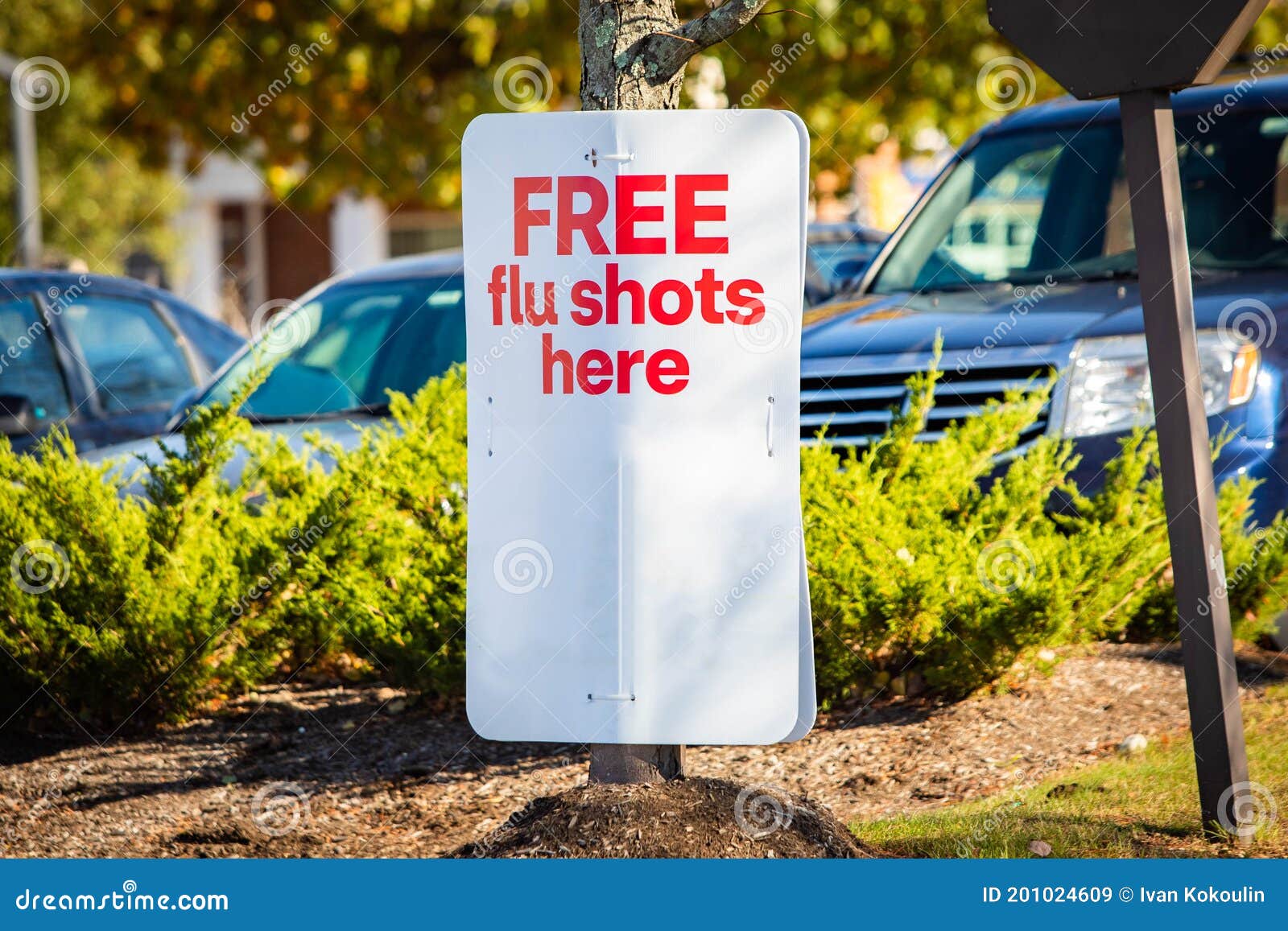 Free Flue Shots Outdoor Sign Walk-in Immunization Stock Image - Image ...